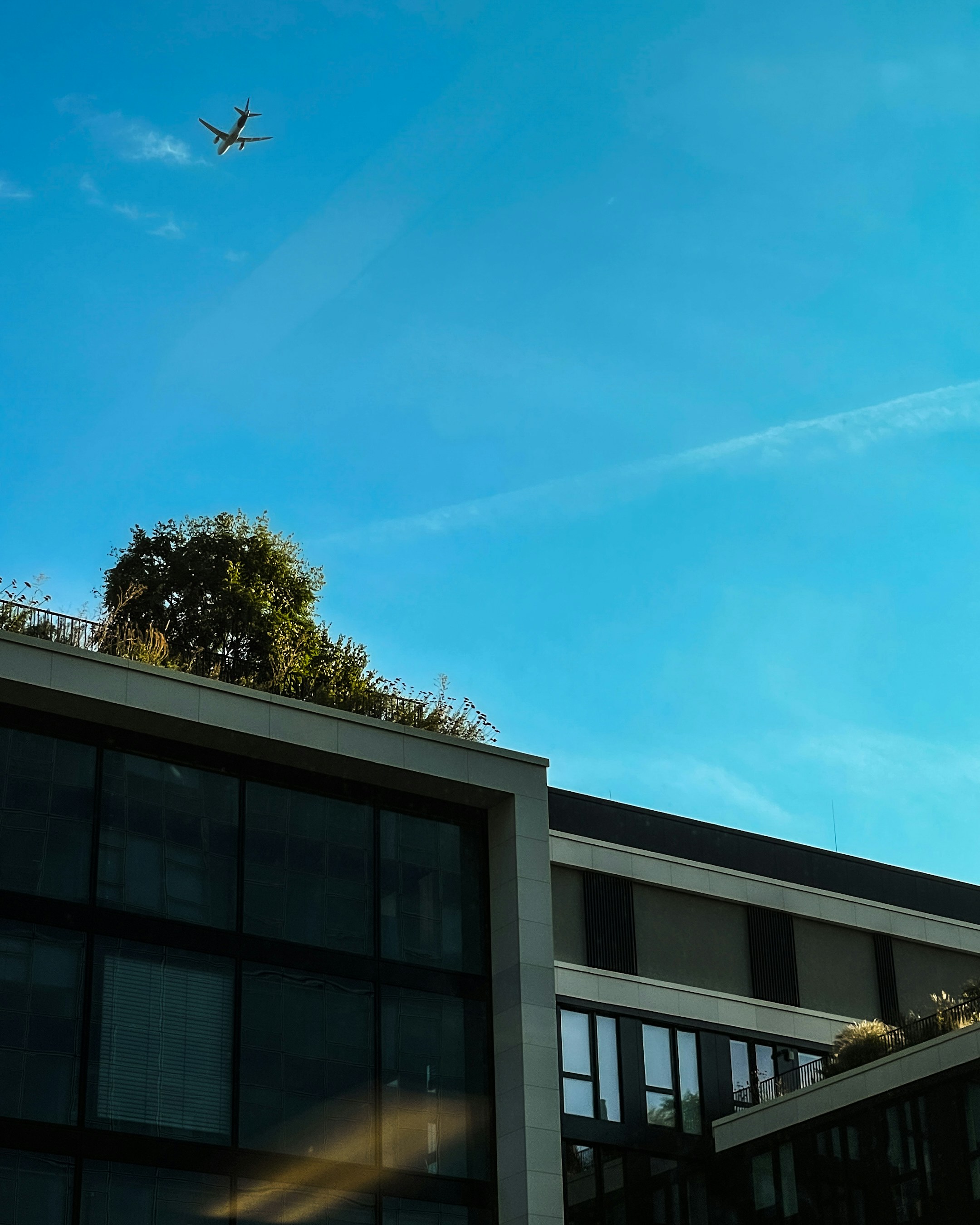 Un avion survolant un bâtiment surmonté d’un arbre photo – Image ...