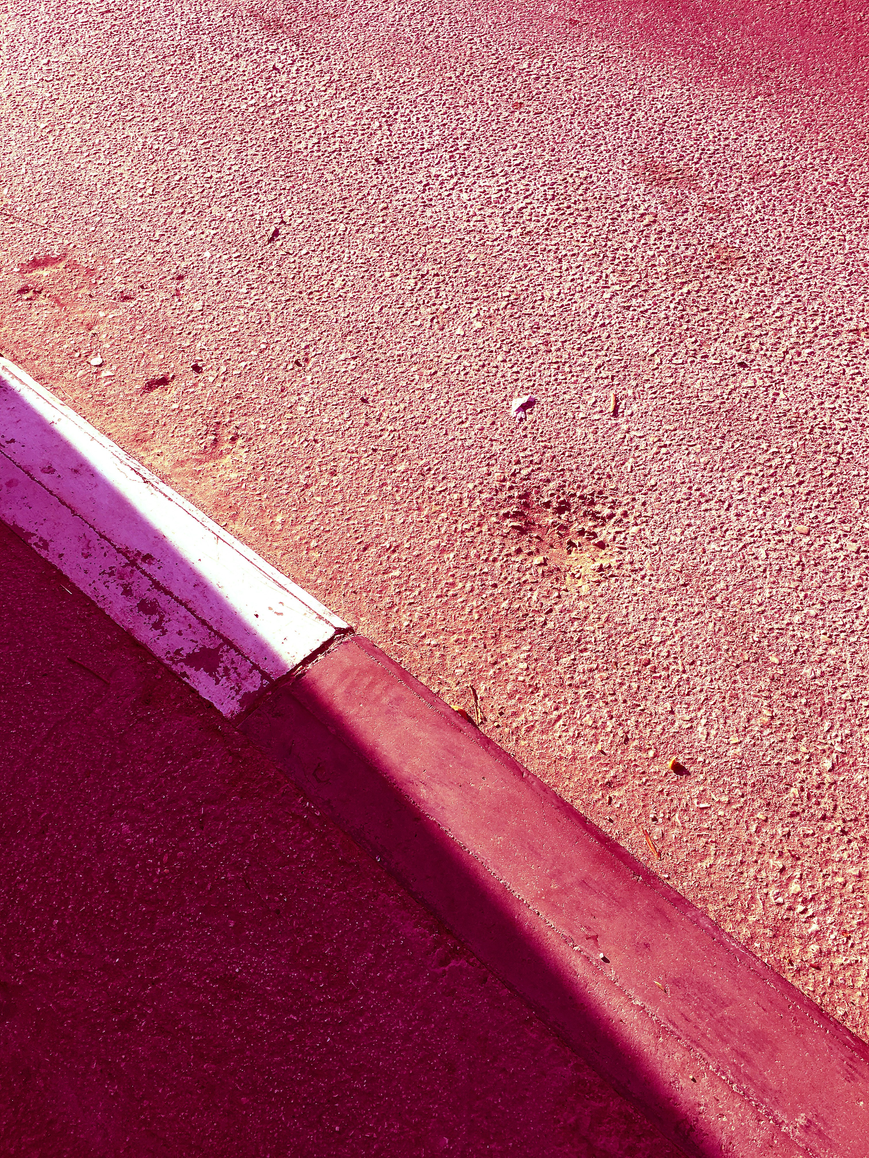 Crimson Edge: A Close-Up Study of Painted Pavement