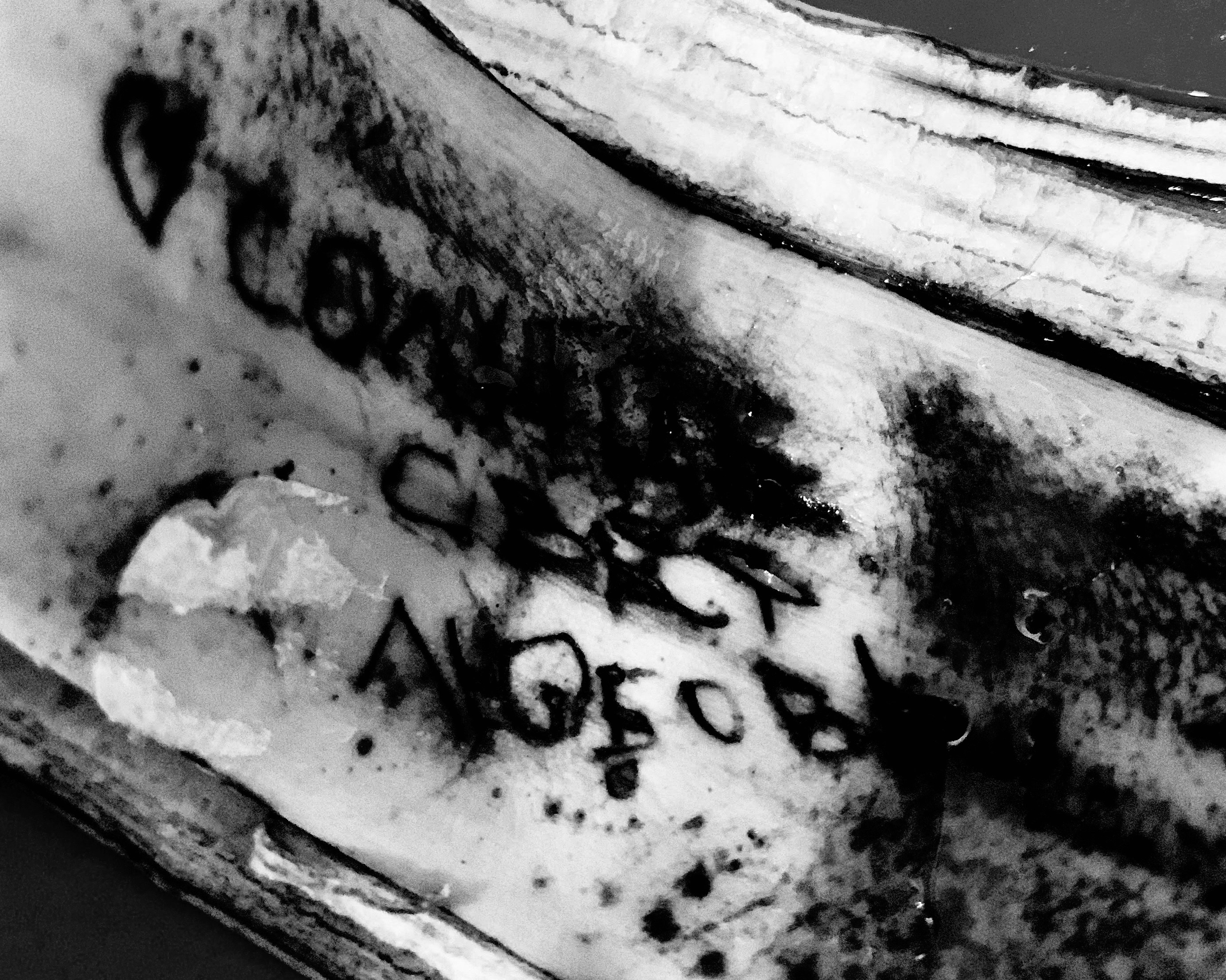 Engraved Echoes on a Weathered Curved Metal Surface