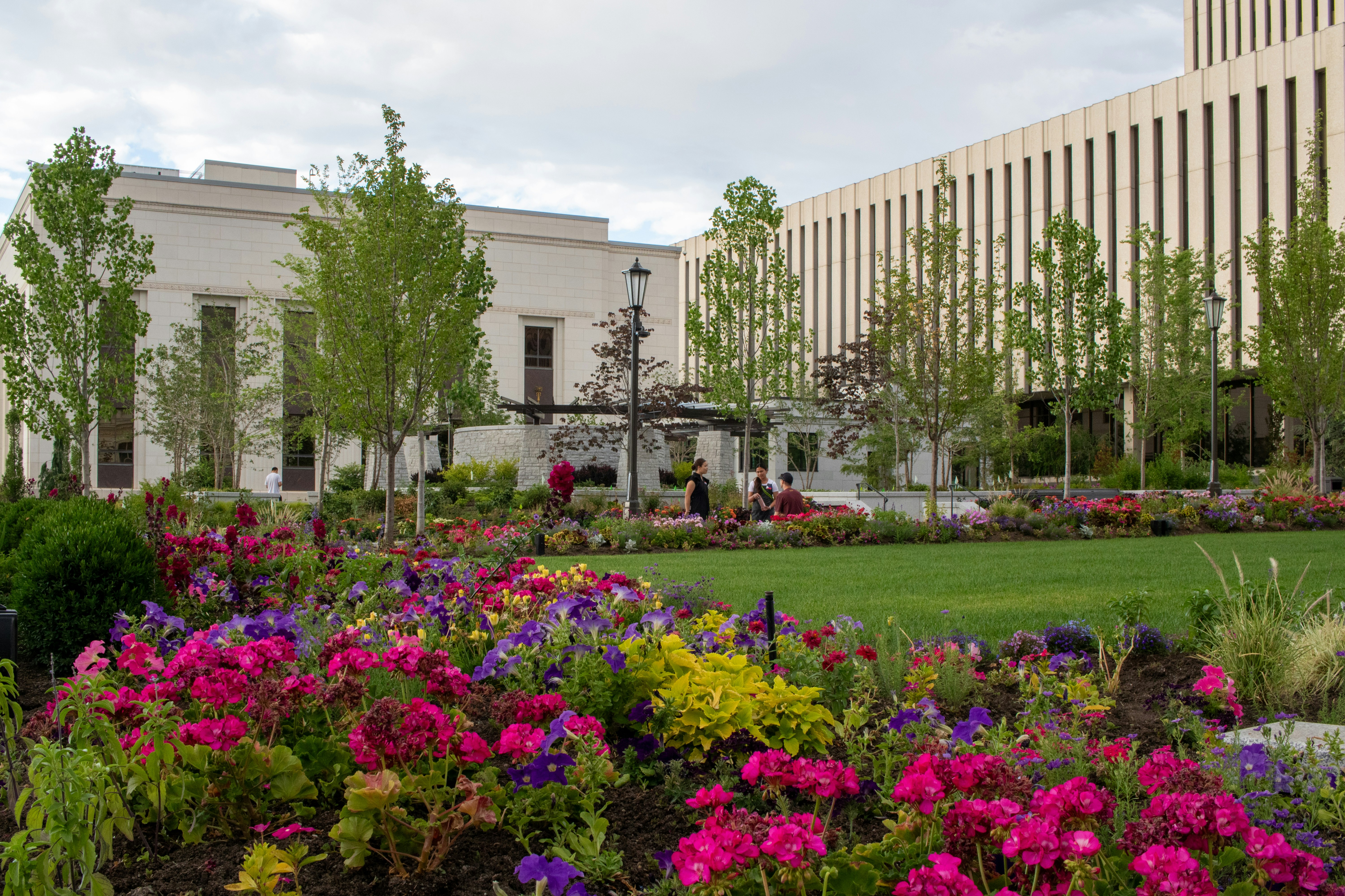 Petal Parade Along a Campus Garden Lane
