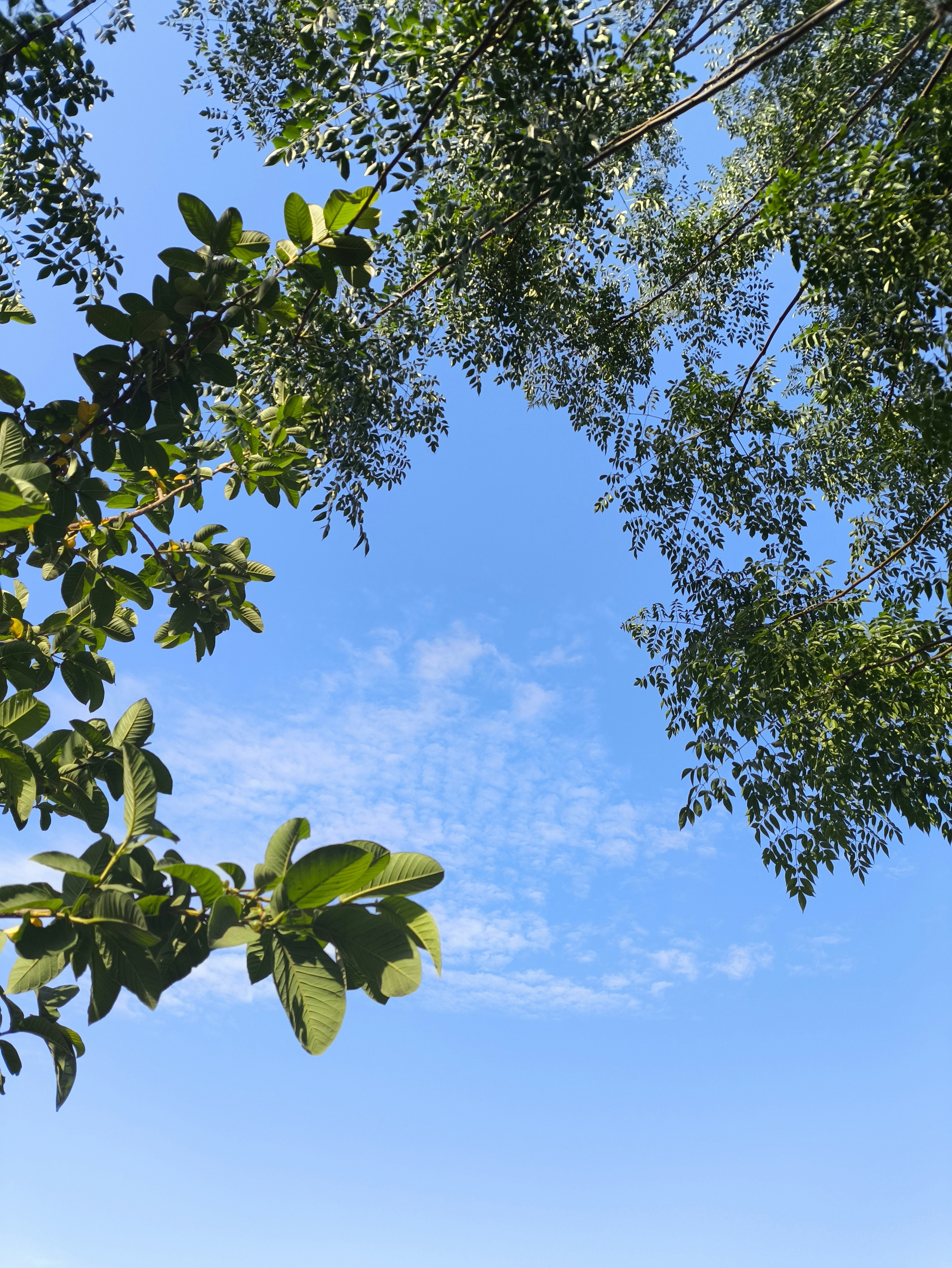 Photo by Pranav Nav with Poco X6 Pro