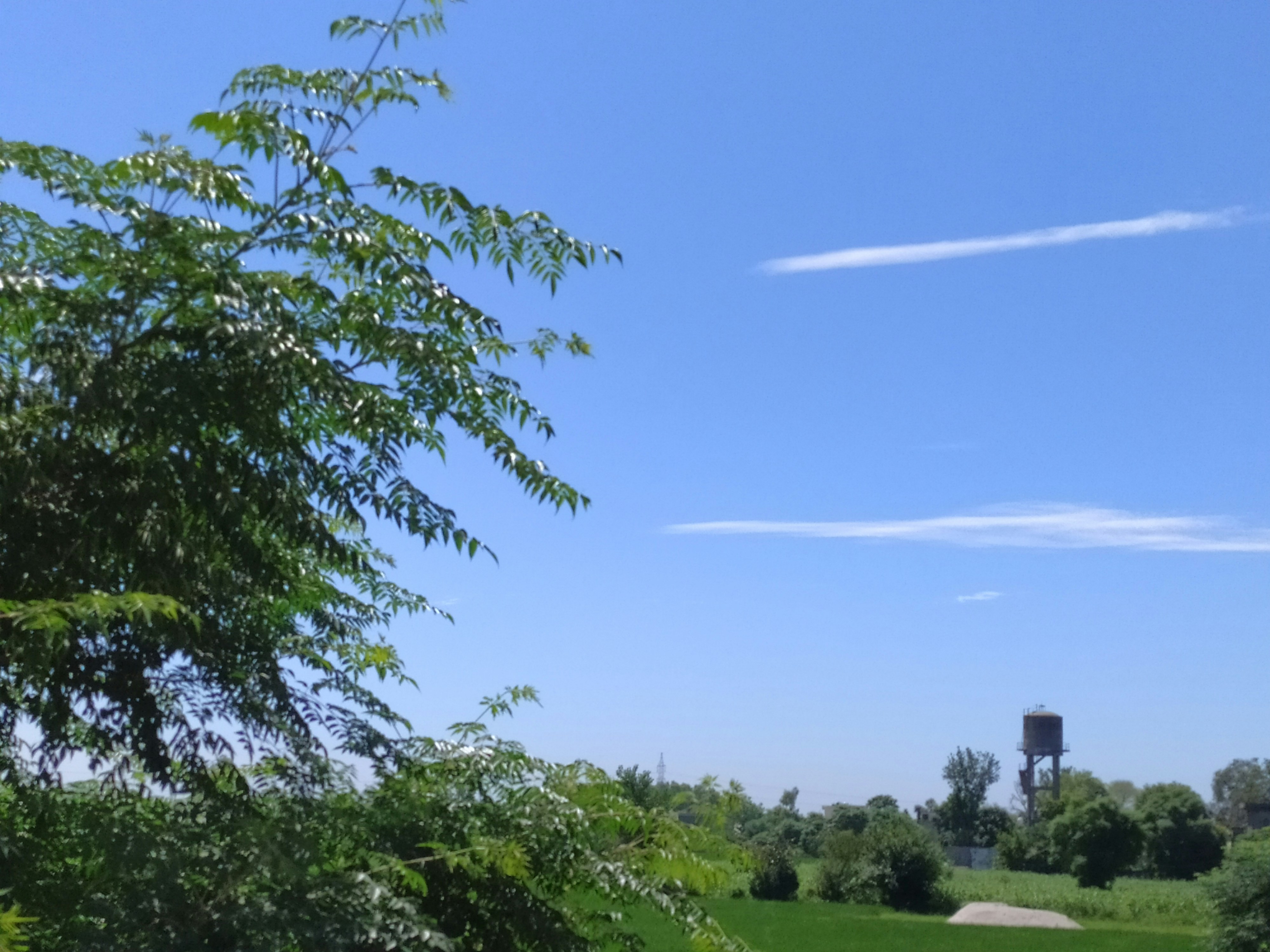 Broad Sky and Lush Horizon: A Quiet Rural Vista