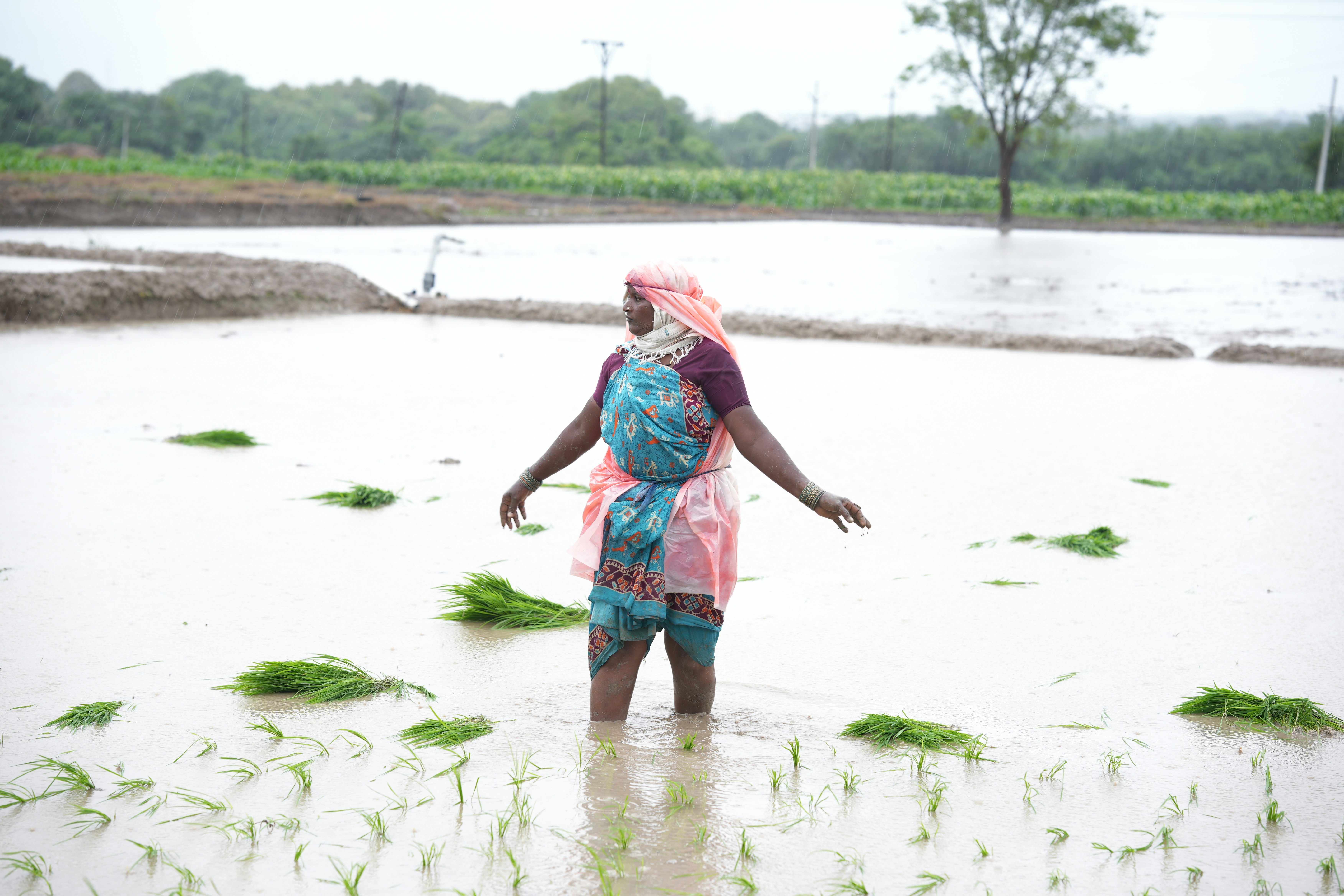 Une femme debout au milieu d’un champ inondé photo – Image gratuite de ...