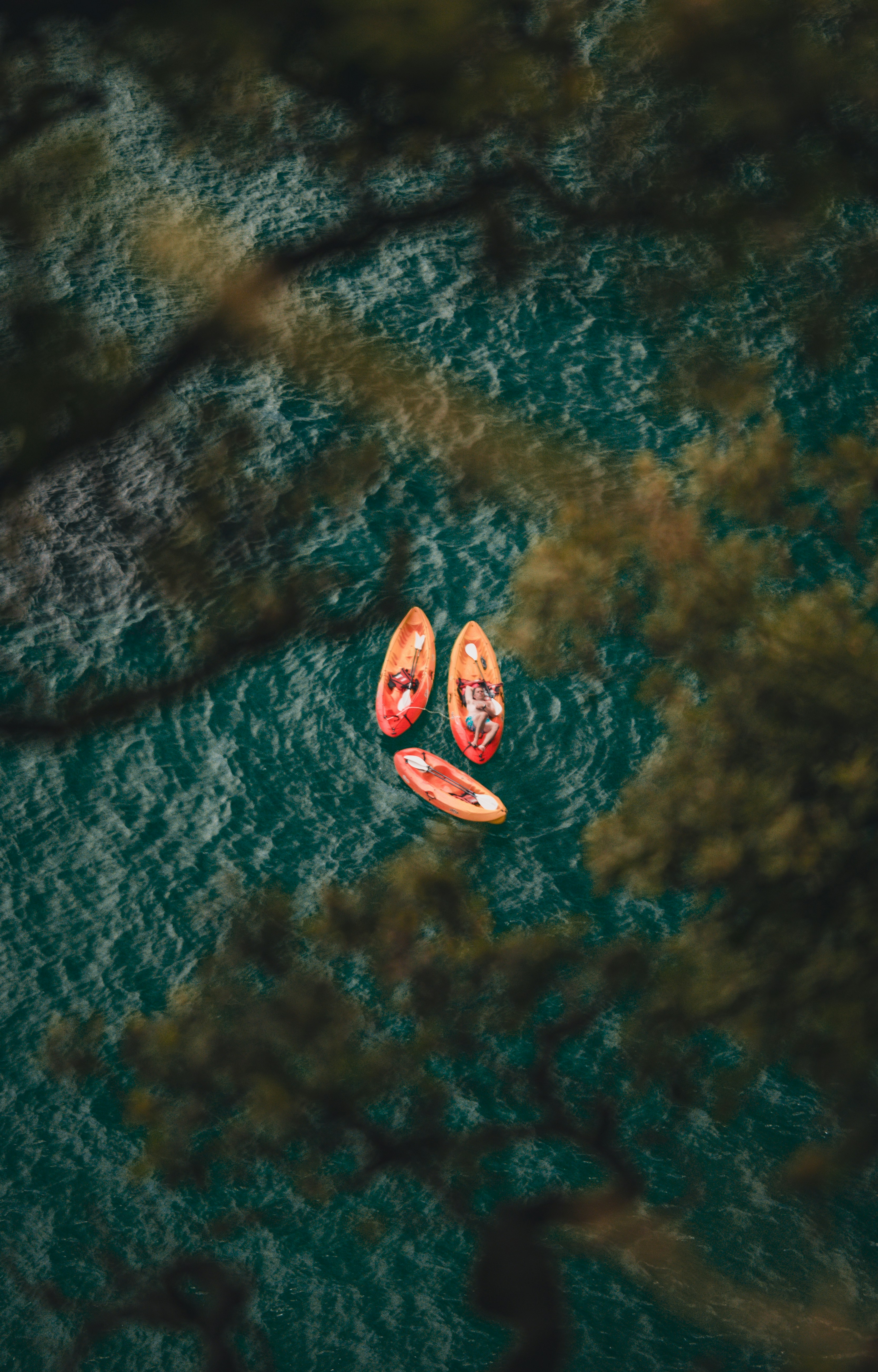 Two people in kayaks floating on a body of water photo – Free Relax ...
