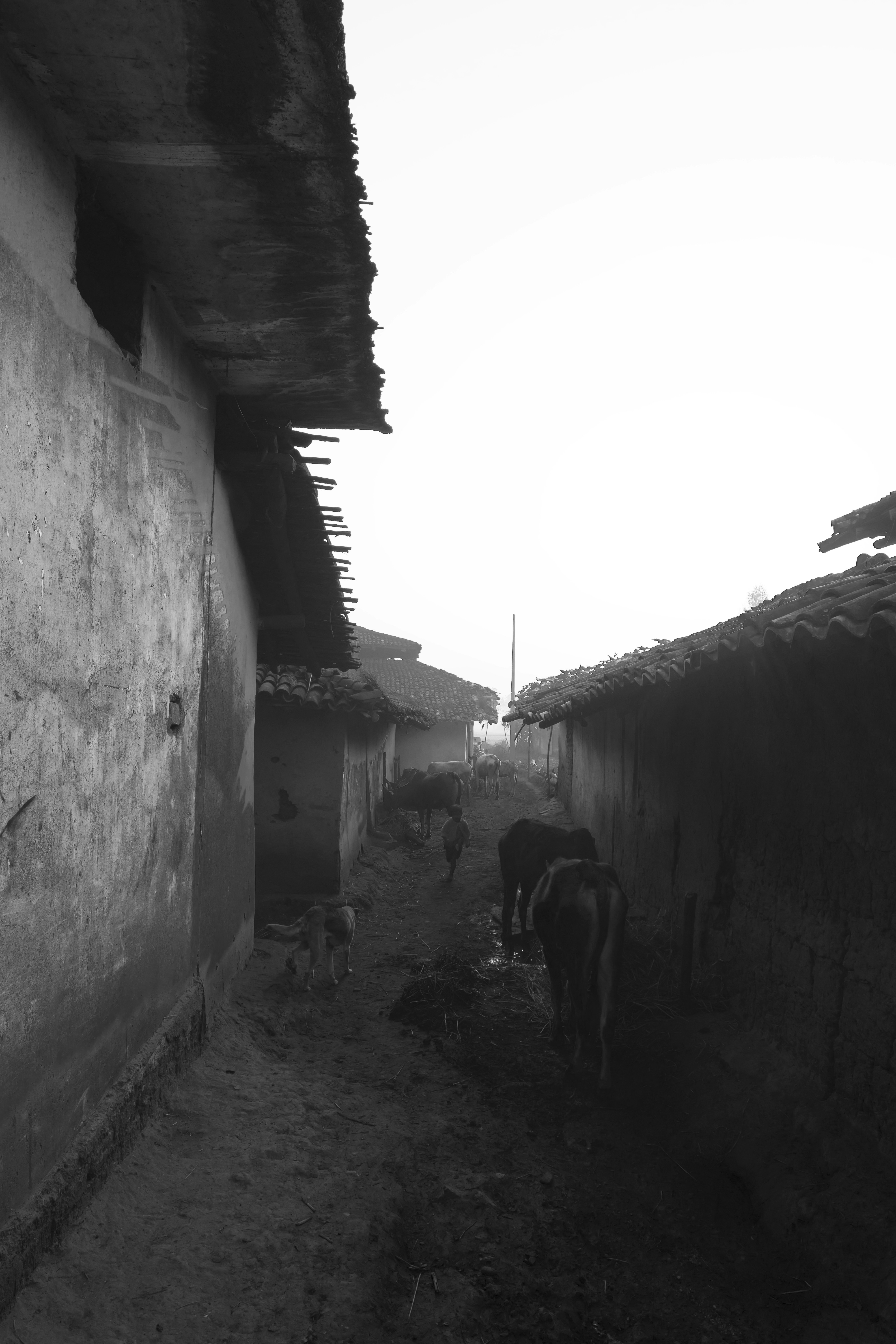 A black and white photo of a village photo – Free Mainpat Image on Unsplash