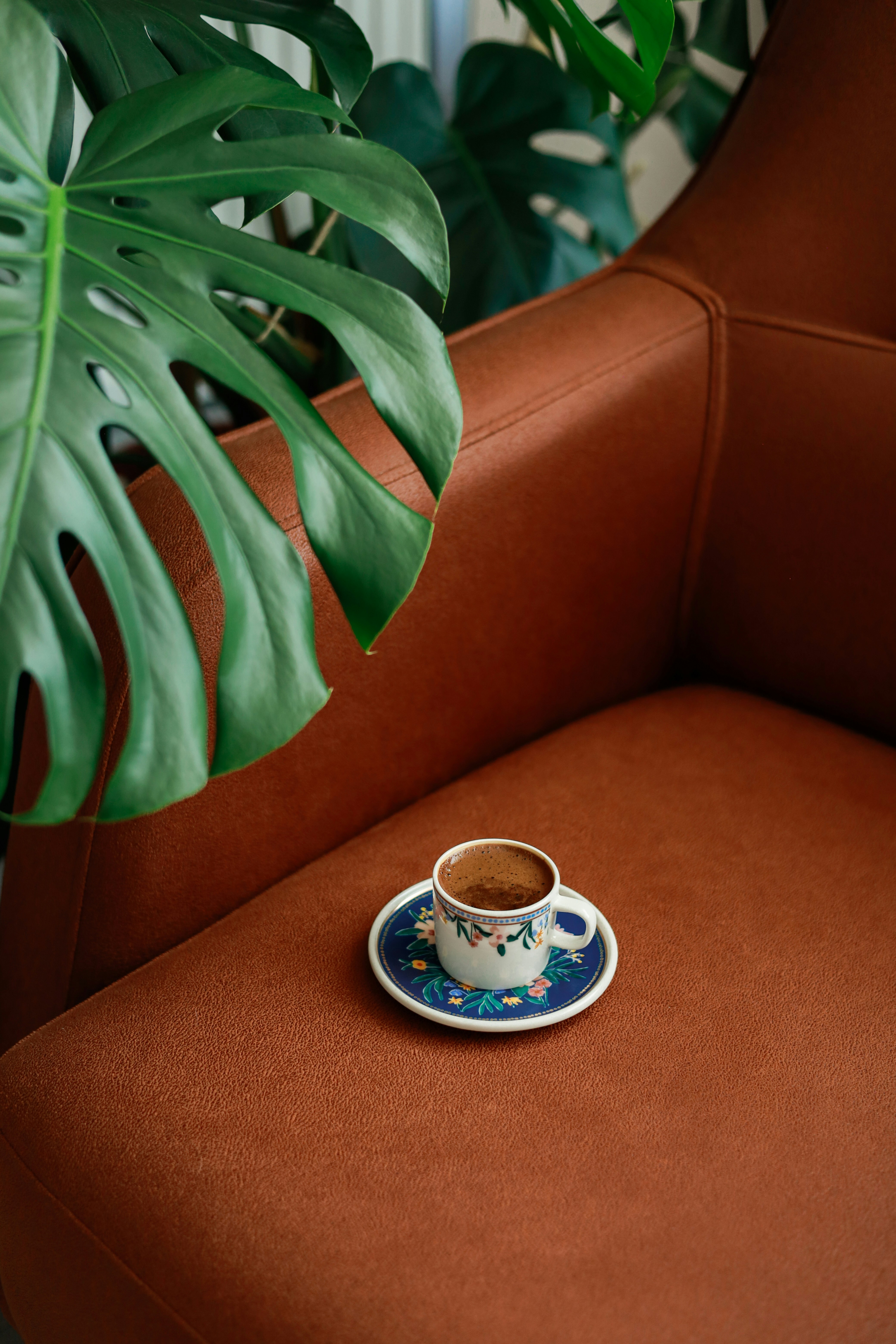 Una taza de café sentado en una silla junto a una planta foto – Imagen ...
