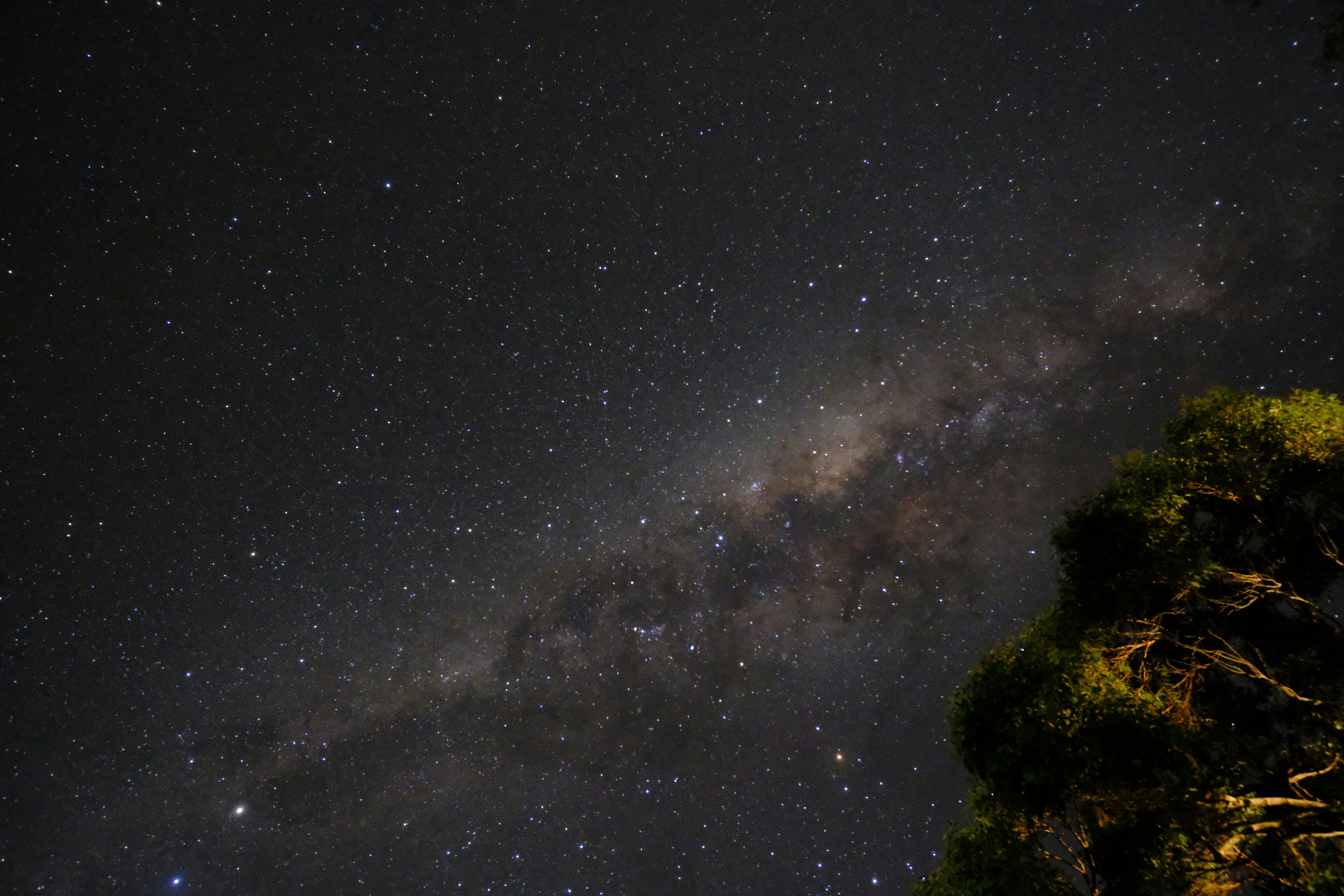 A night sky with stars and a tree photo – Free Space Image on Unsplash