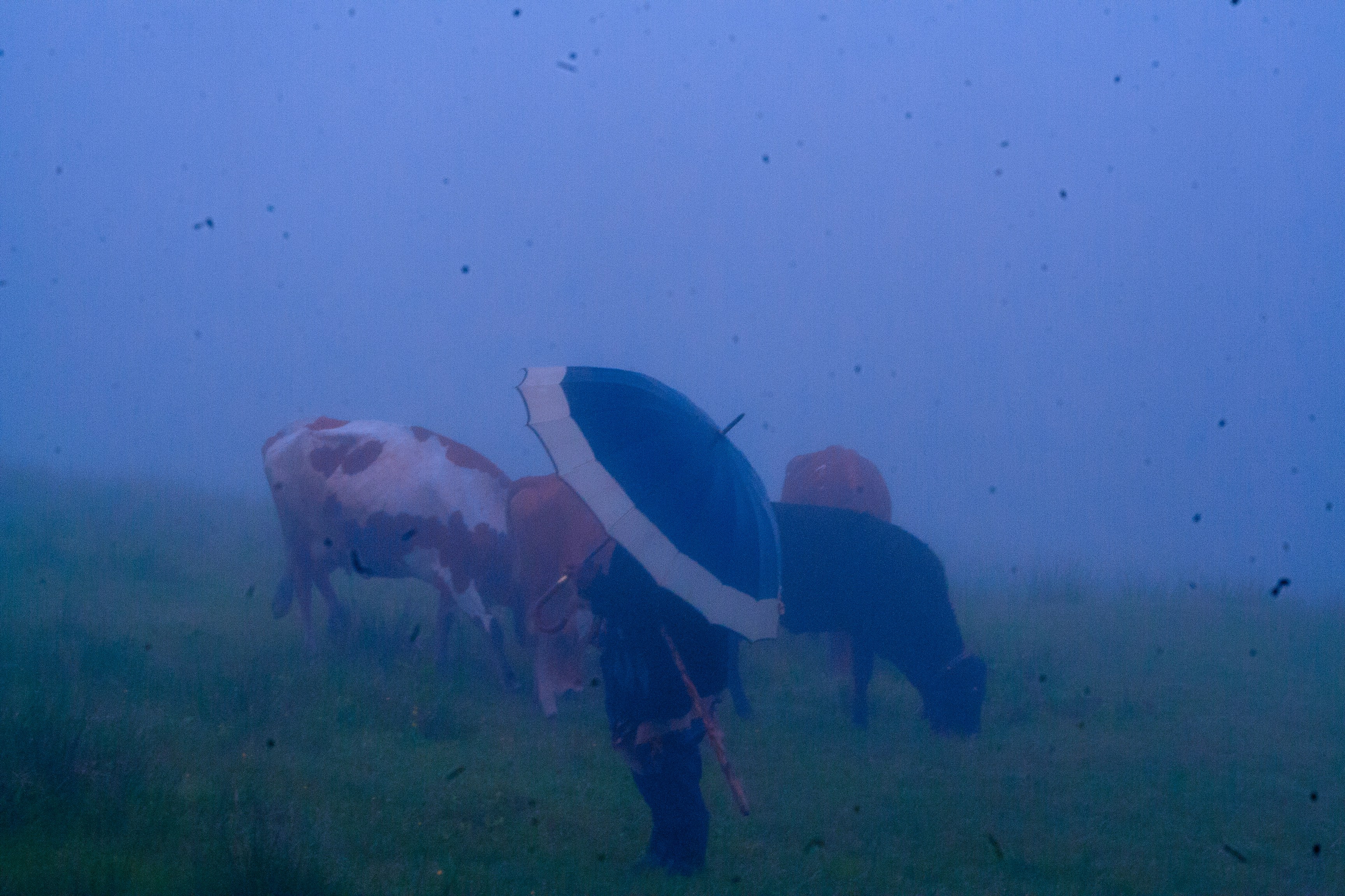 life above the clouds