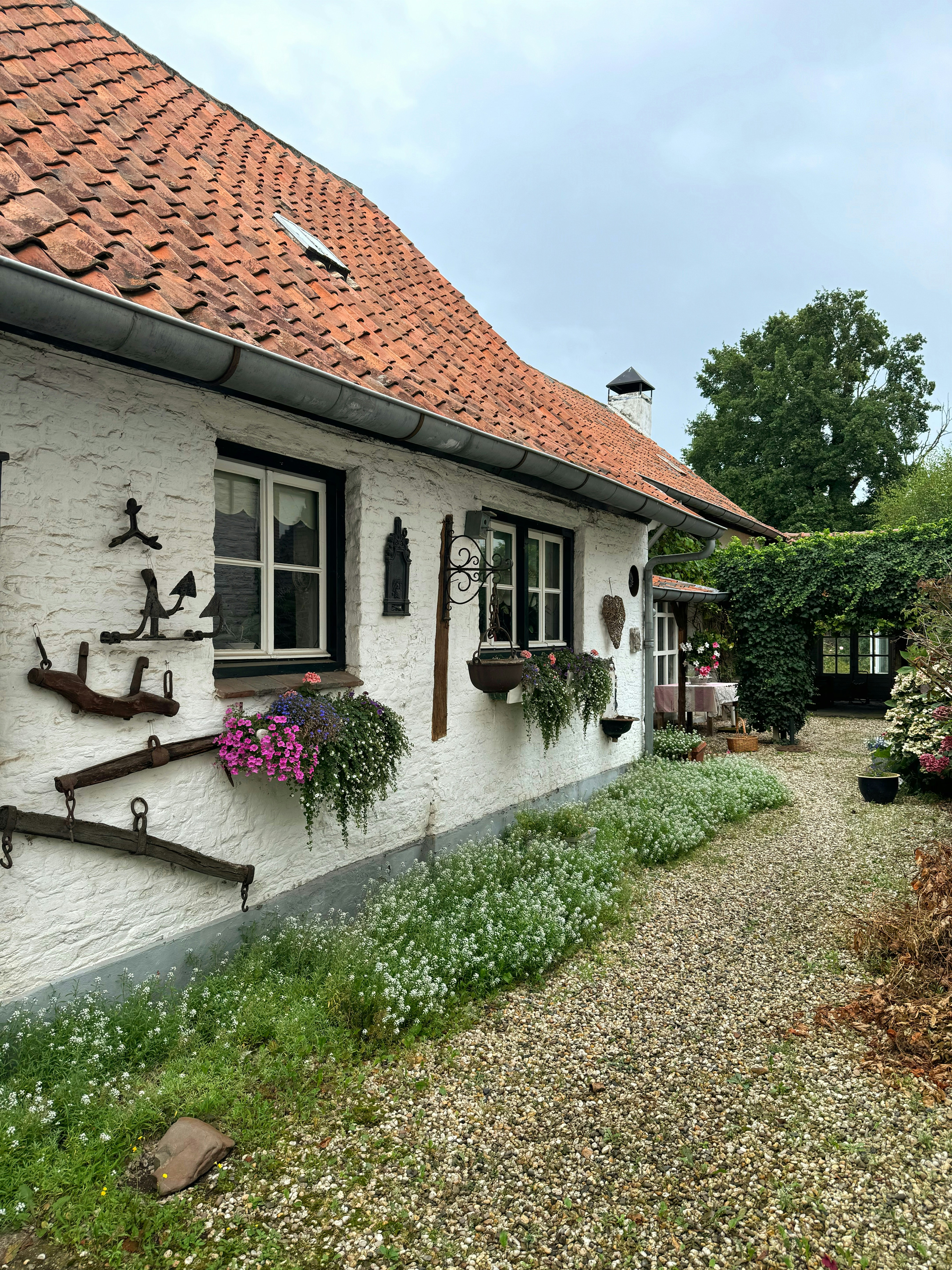 Quaint White Cottage with Flowered Wall Garden