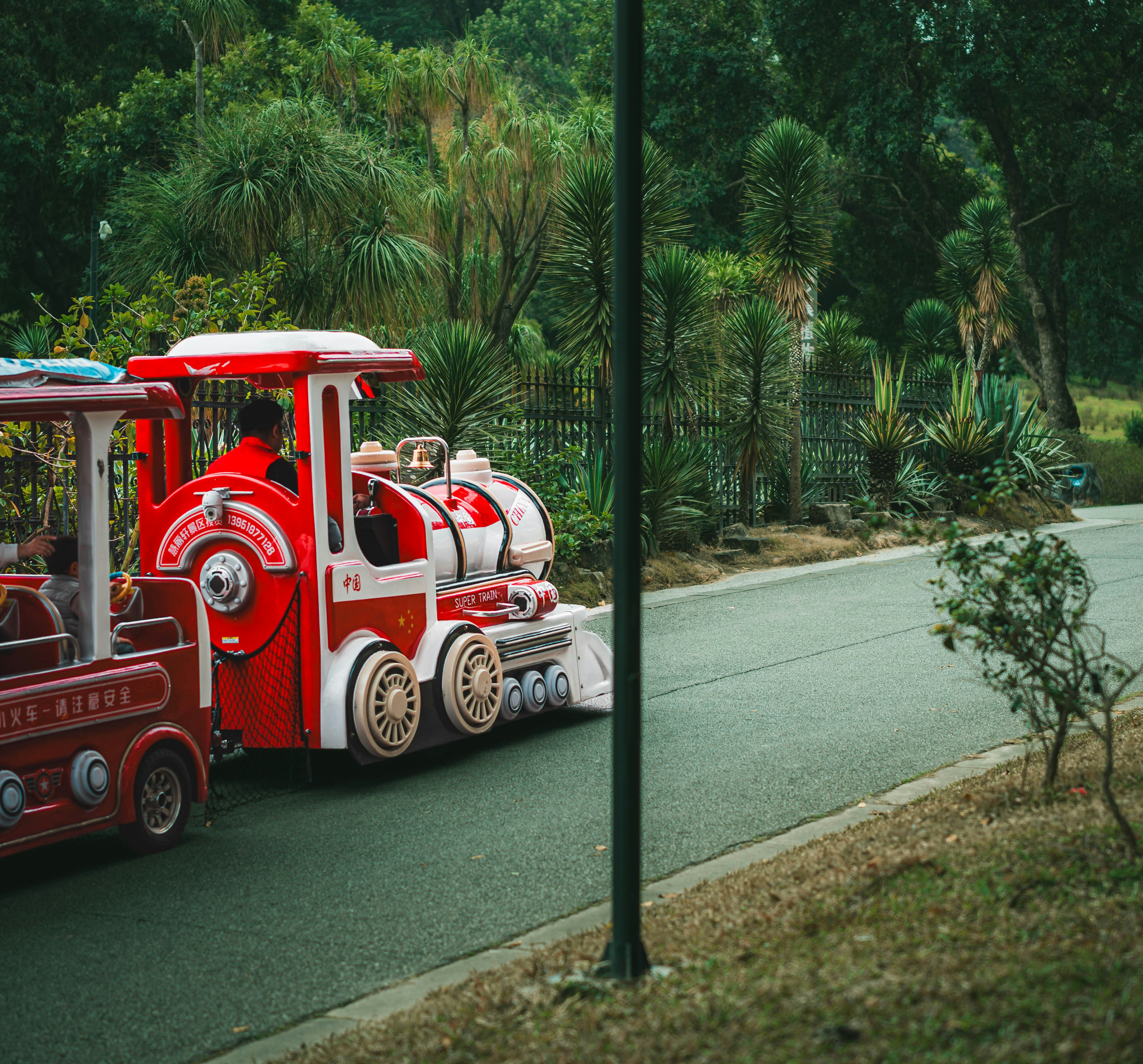 Scarlet Miniature Locomotive Winding Through a Palm-Lined Park