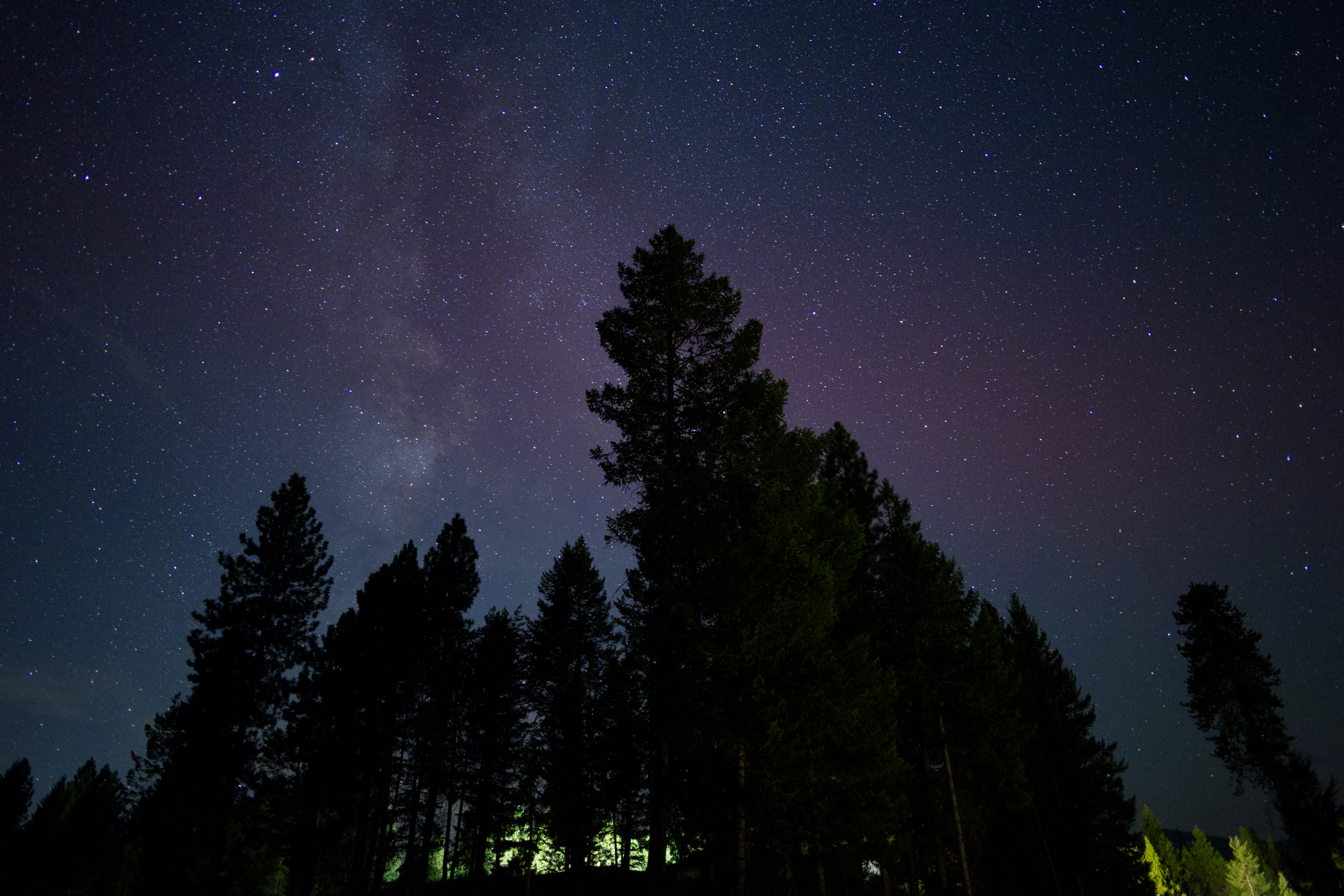 The night sky is filled with stars and trees photo – Free Naples Image ...