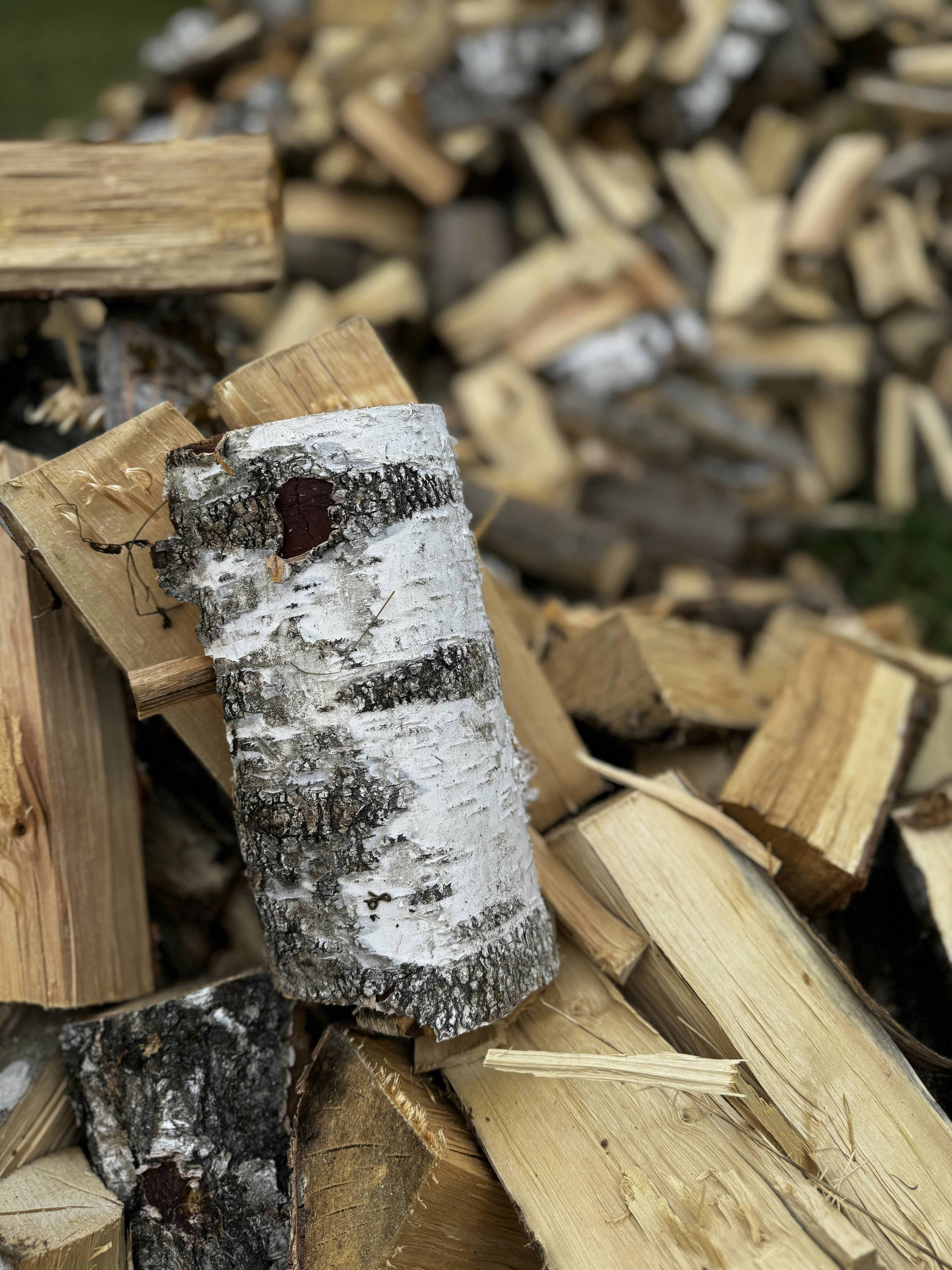 Photo by Adis Corovic with Apple iPhone 15 Pro