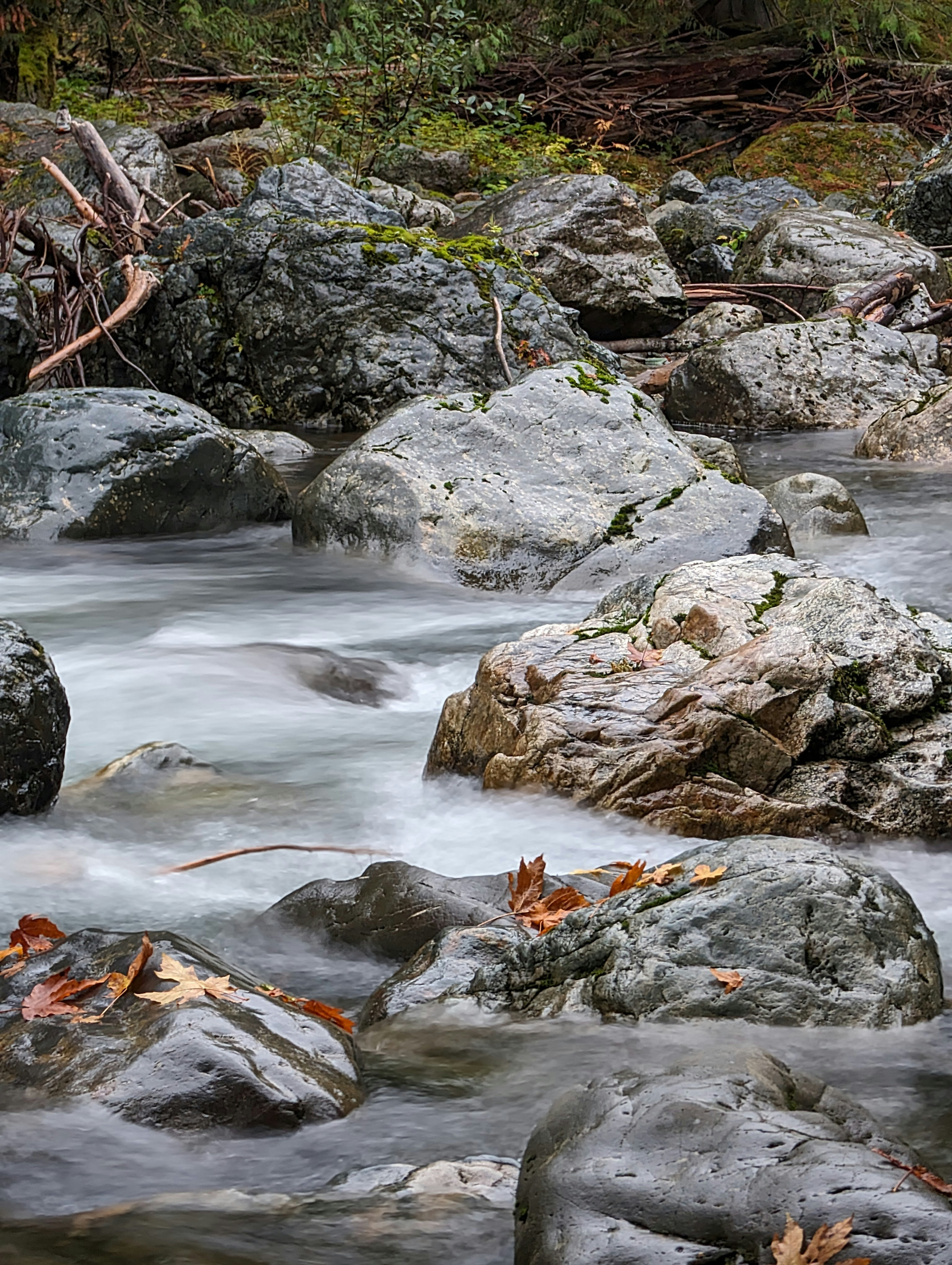 A stream of water surrounded by rocks and trees photo – Free River ...