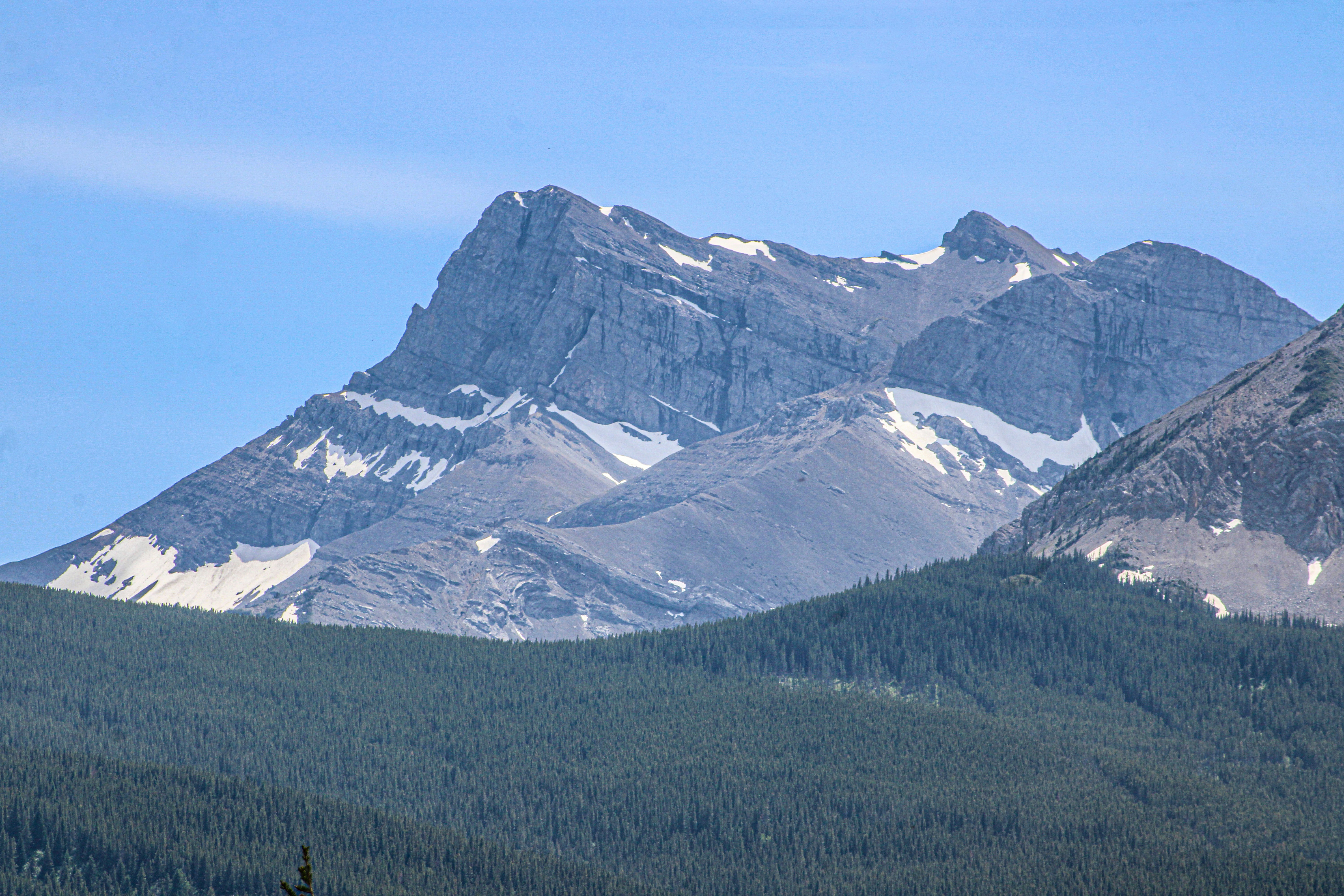 Snow-capped mountain range rises above a lush green forest, showcasing the rugged beauty of the Rockies.