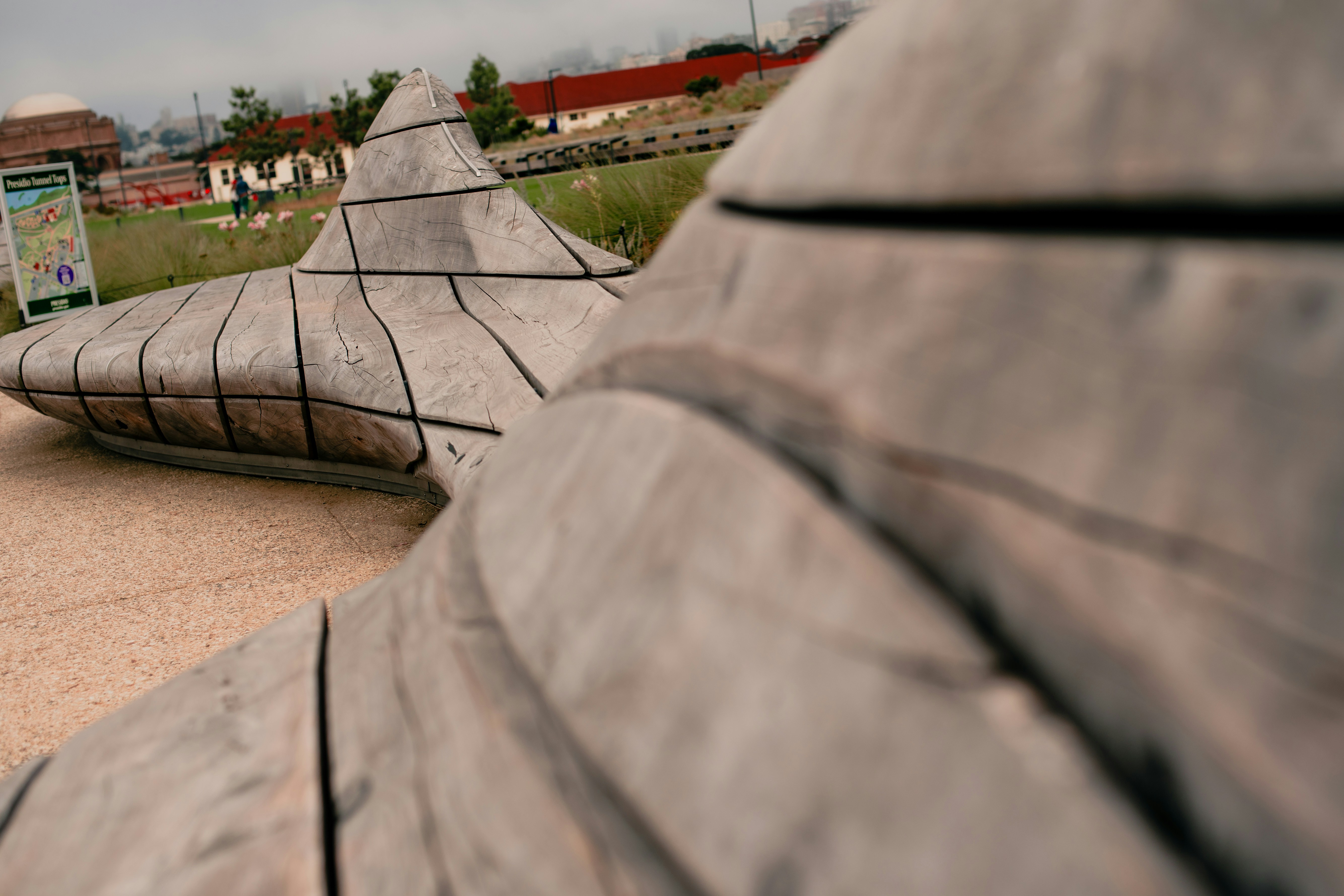 Photo by Madeline Liu with Sony Alpha 7 IV