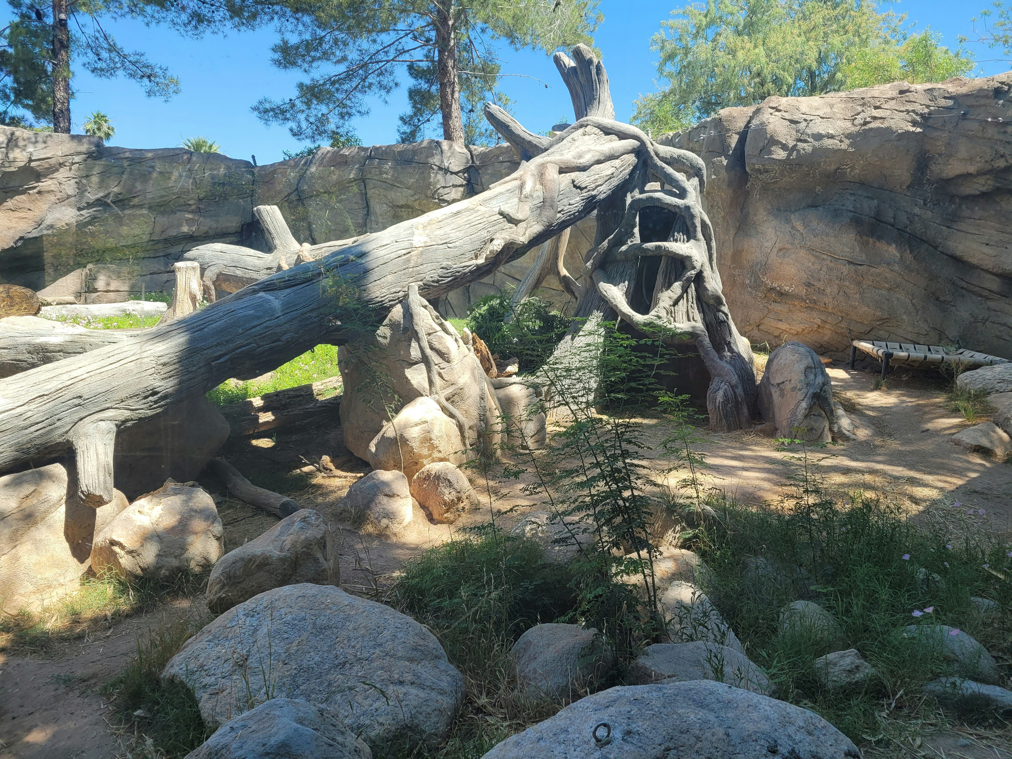 Sunlit scene of a fallen tree amidst rocks and sparse greenery under a clear blue sky.