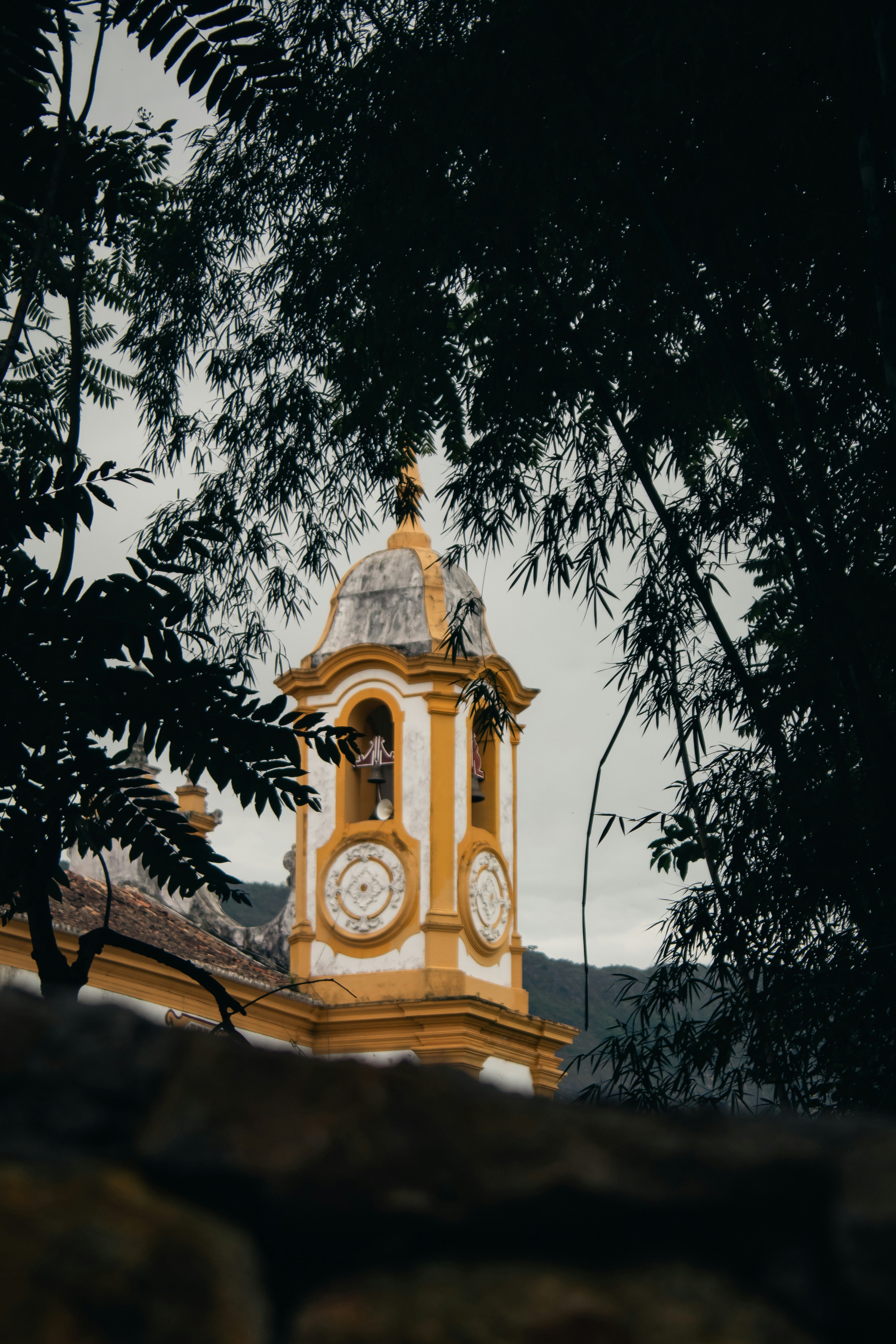 Amber Clock Tower Framed by a Veil of Dark Foliage