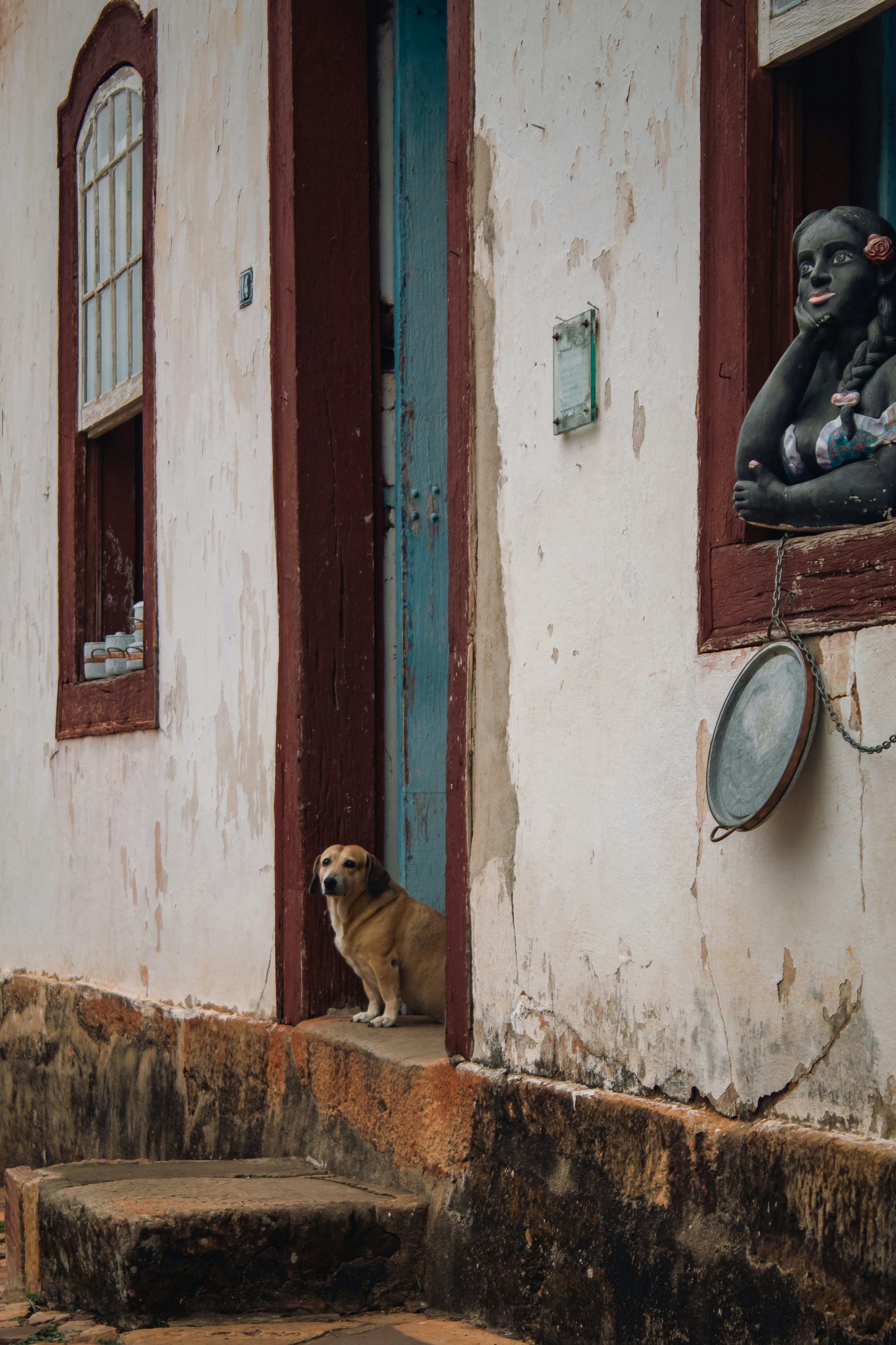 Photo by Daniel Damasio with Canon EOS 4000D