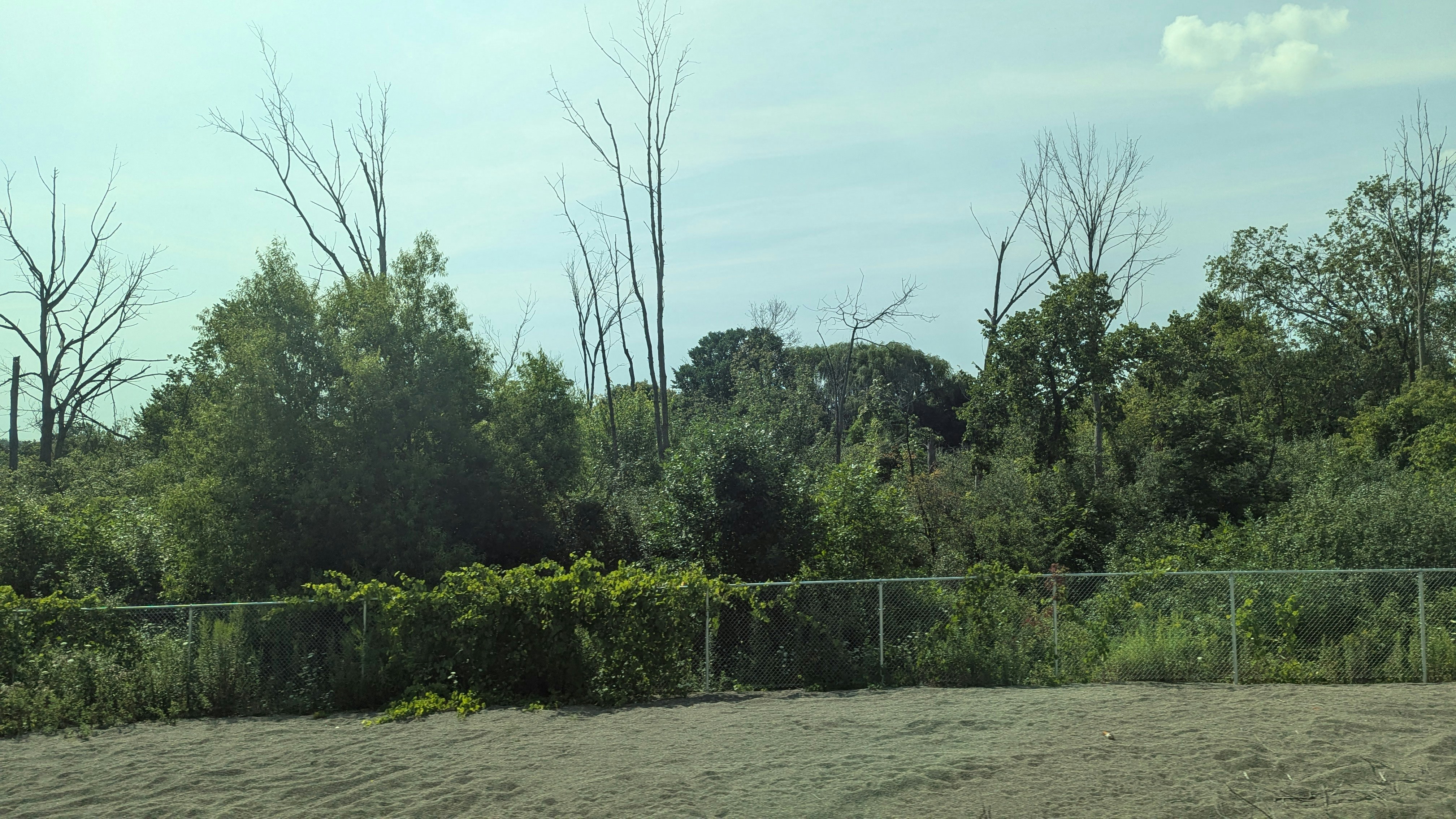 A fenced in field with trees in the background photo – Free Forest ...