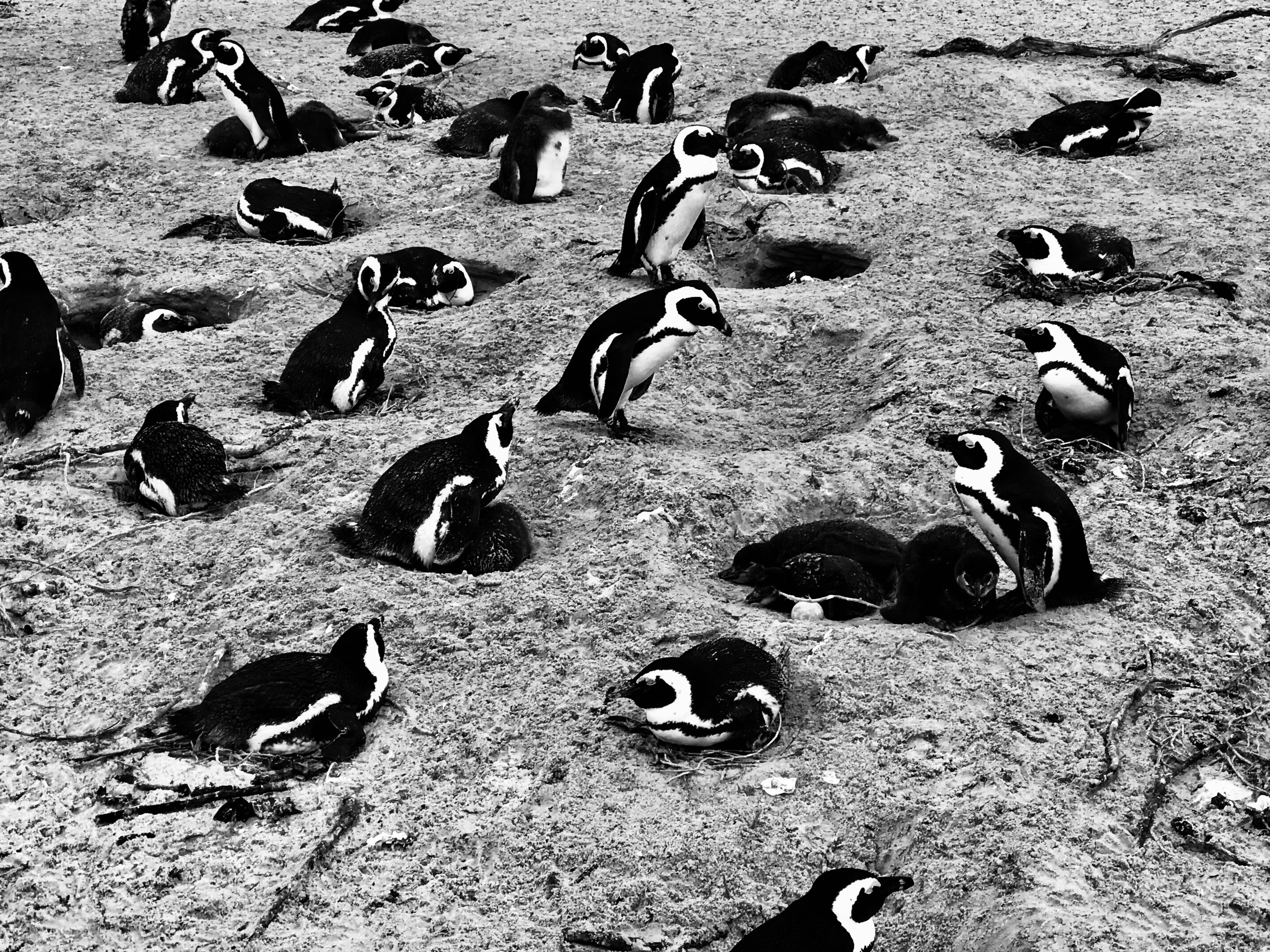 Photo by Deepavali Gaind with Apple iPhone 7 Plus