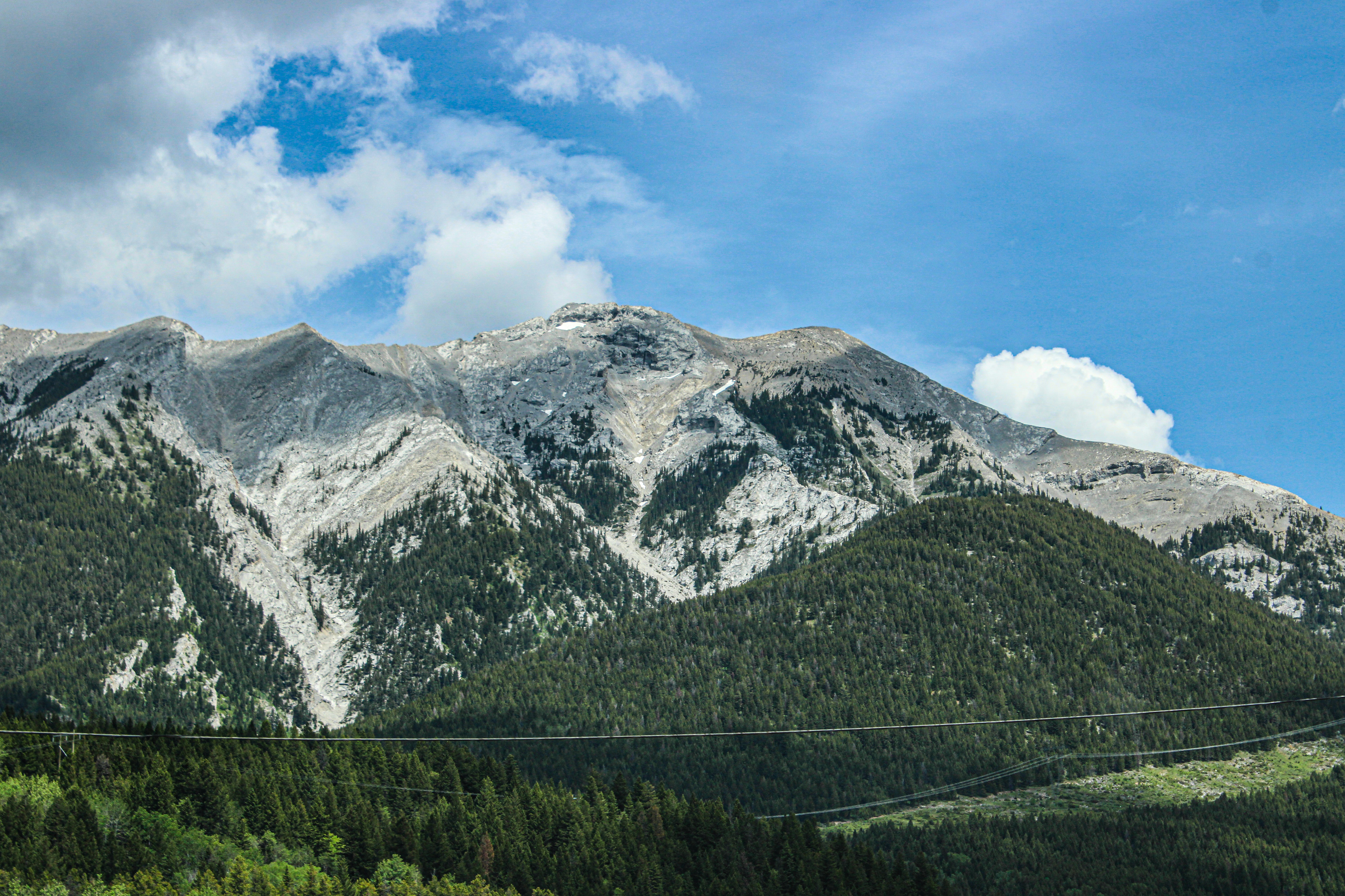 Photo by Peter Robbins with Canon EOS 2000D