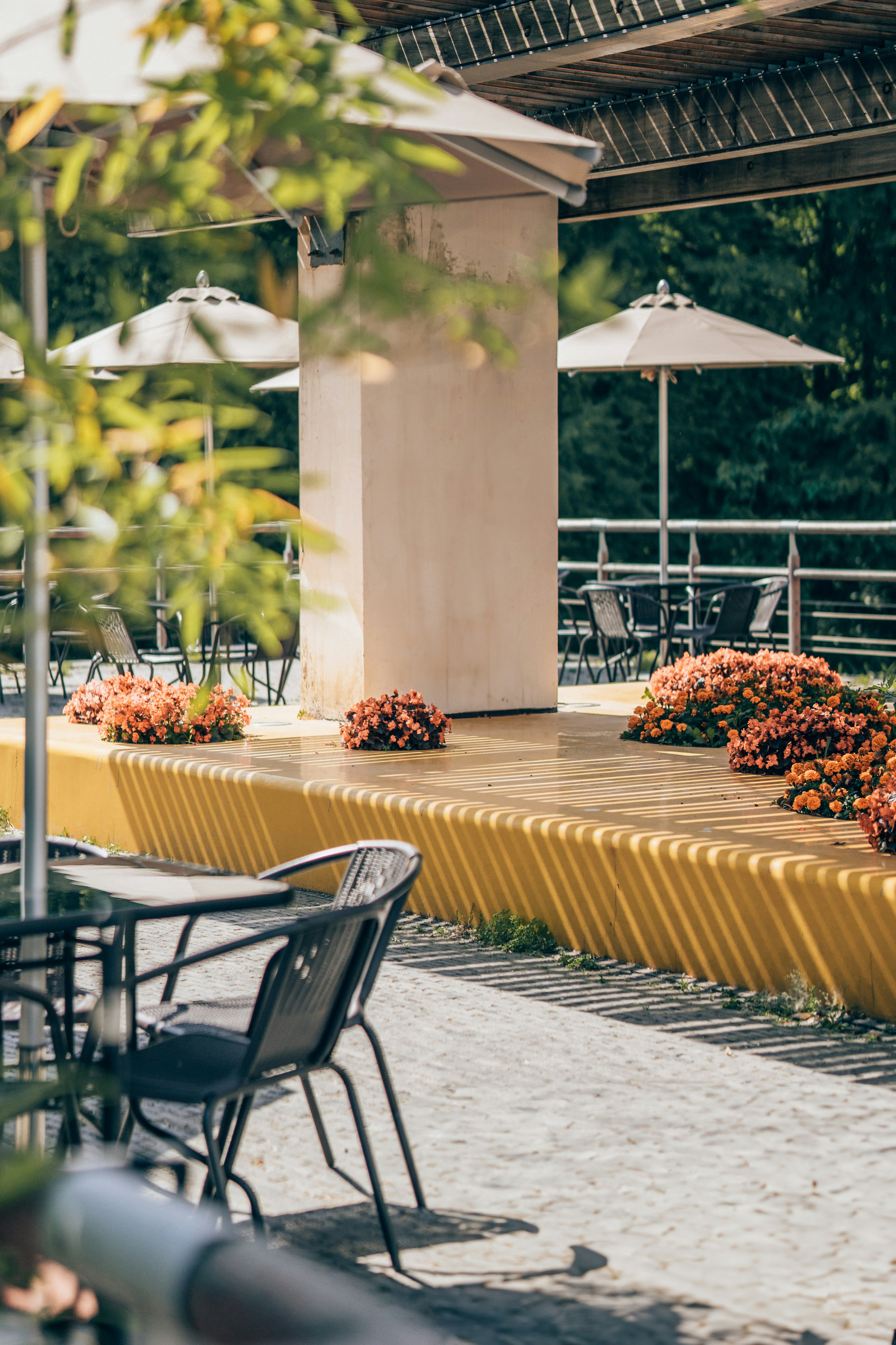 Quiet Terrace Under Umbrellas: Autumn Flowers Framing a Sunlit Courtyard
