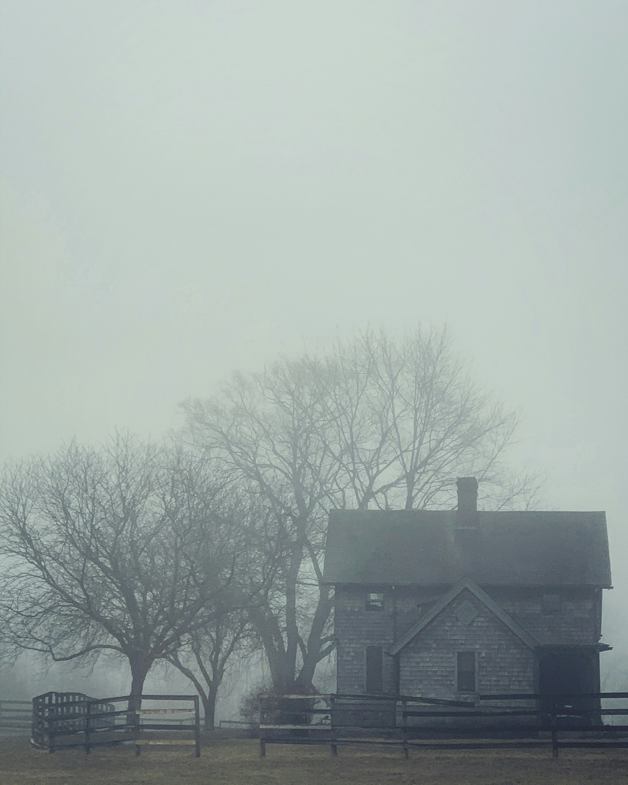 My father’s picture