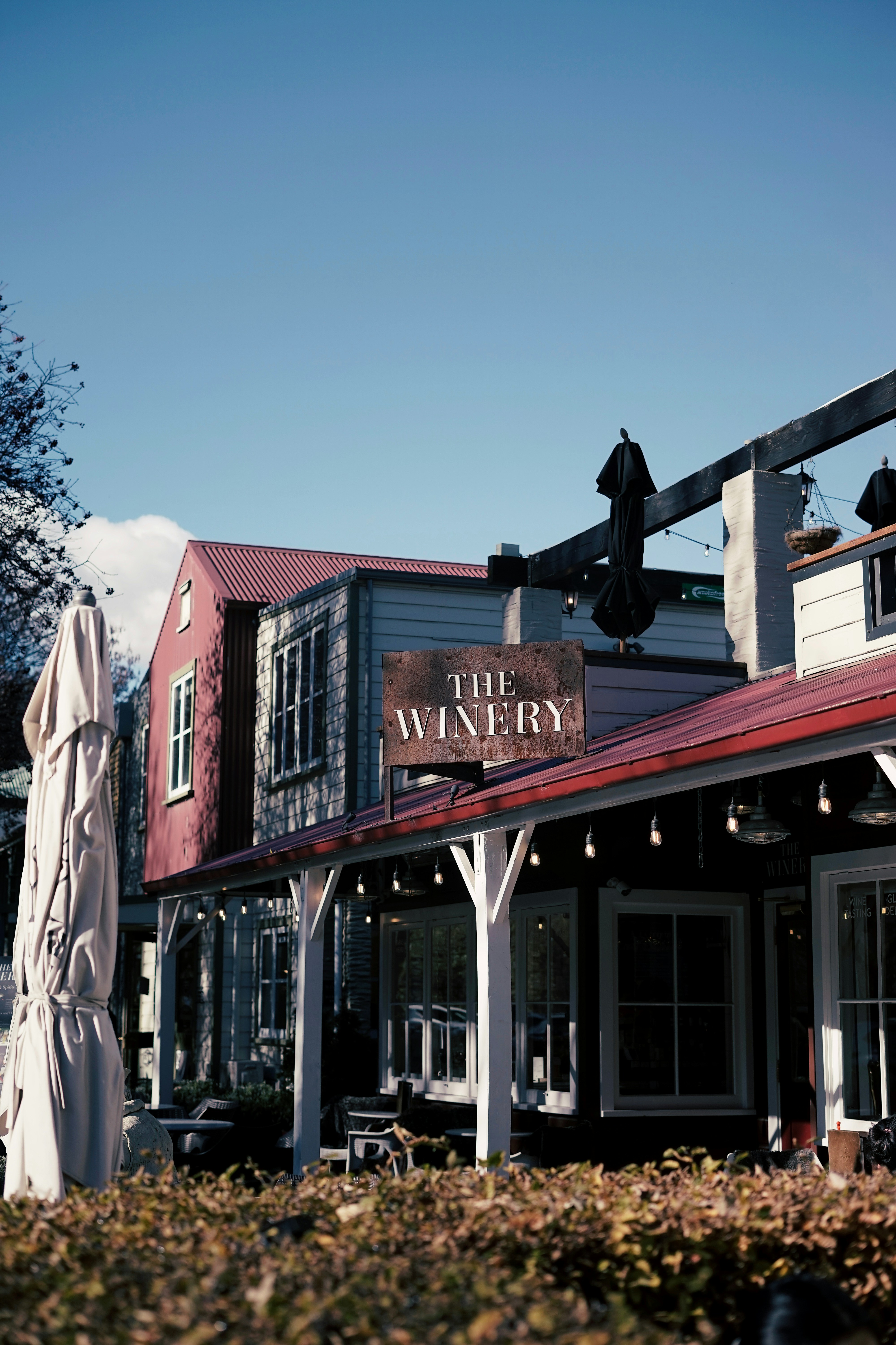 Noon Light on a Rustic Winery Porch