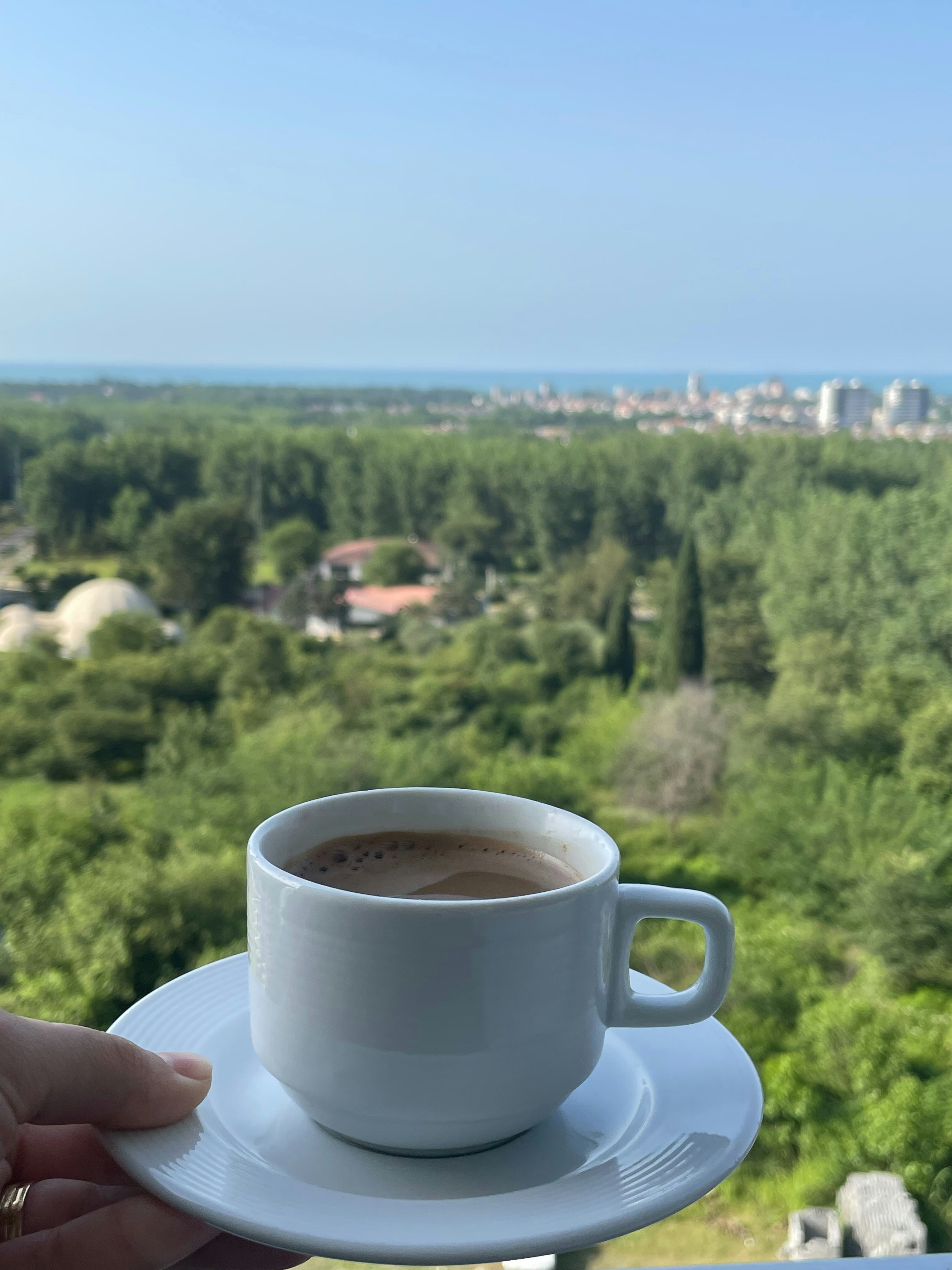 Espresso at the Edge of the Green Horizon
