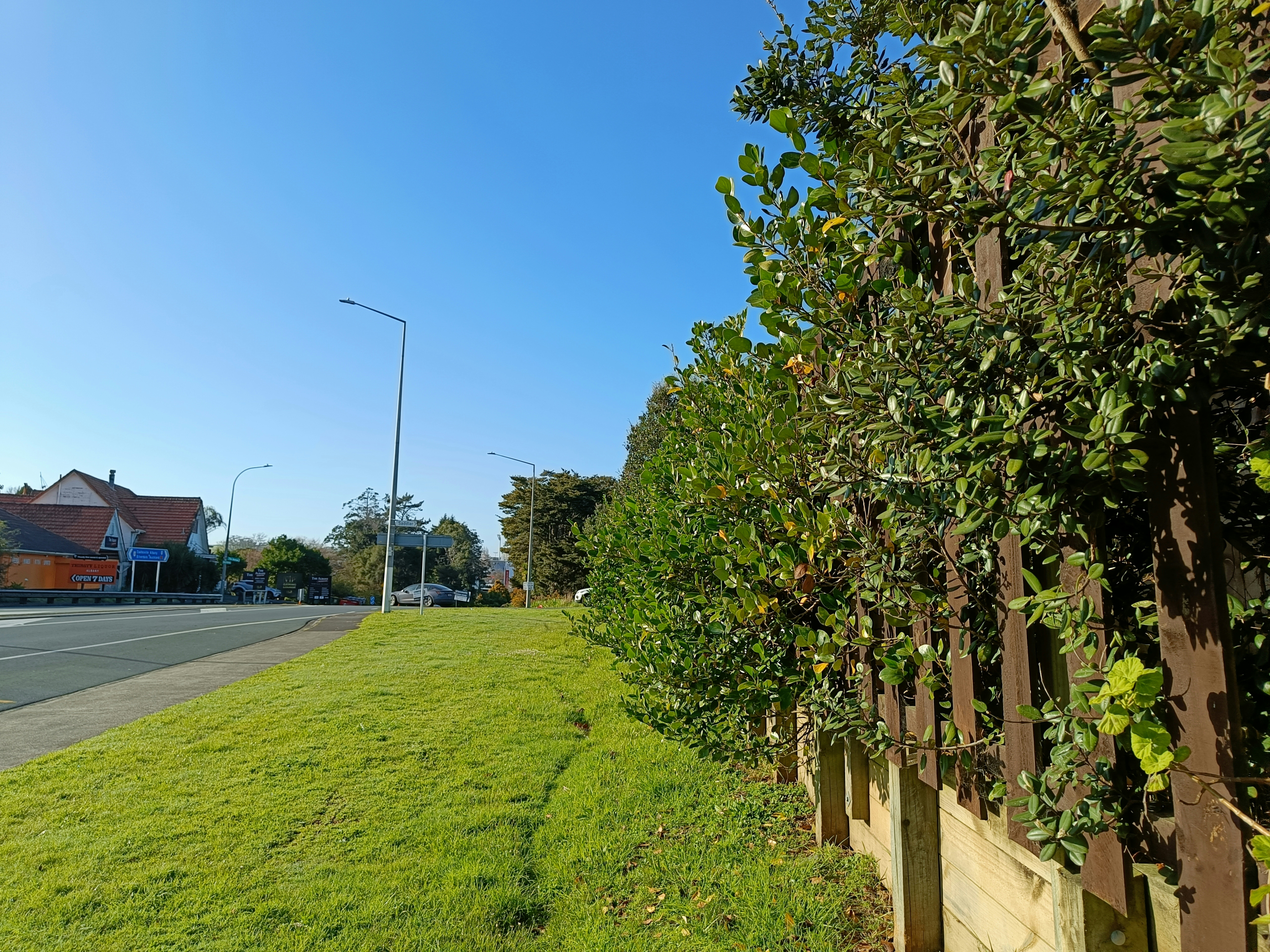 Quiet Suburban Verge Framed by Fence and Foliage