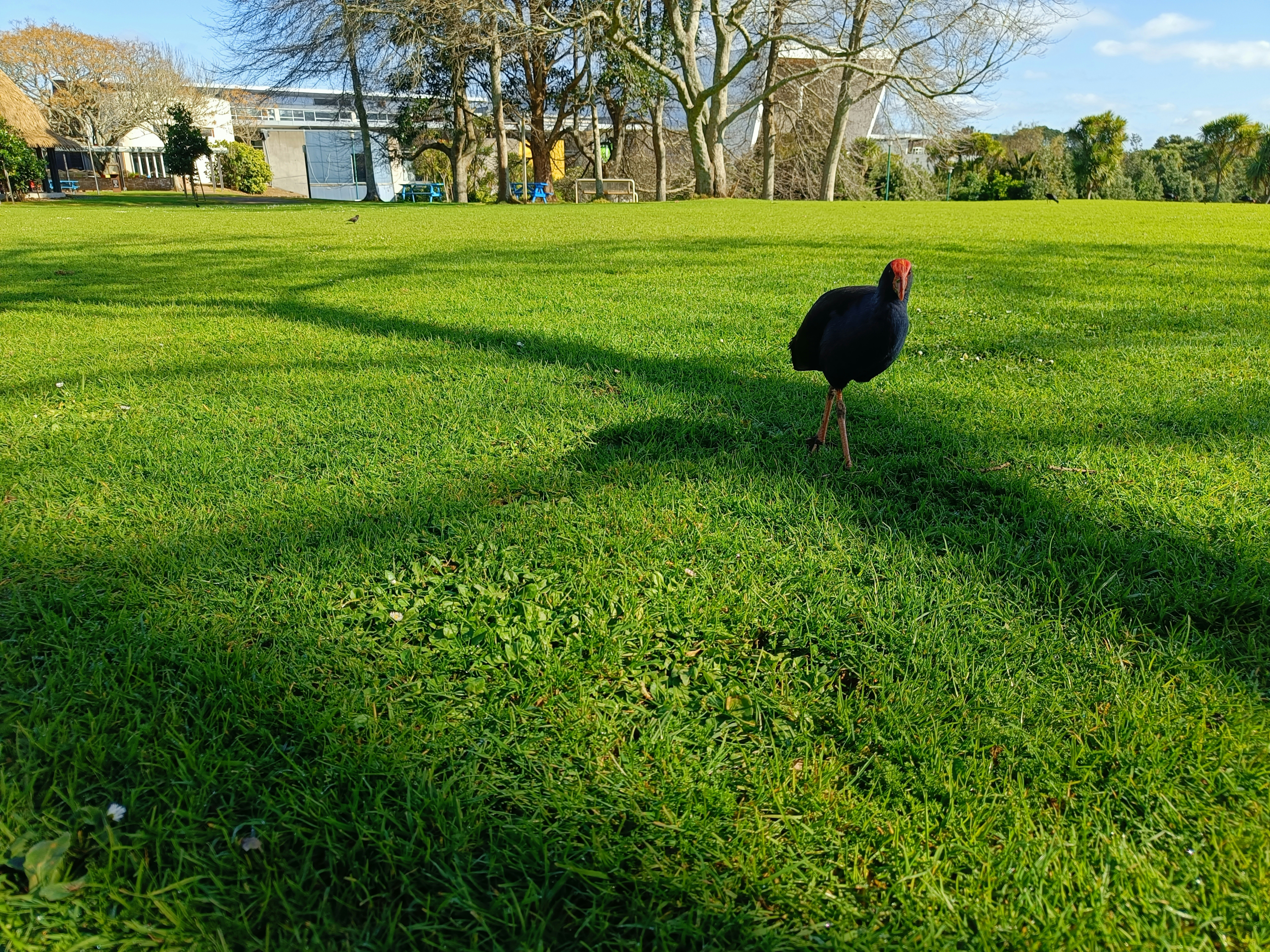 Photo by Jacob R Vamseedhar G with OnePlus Nord 2