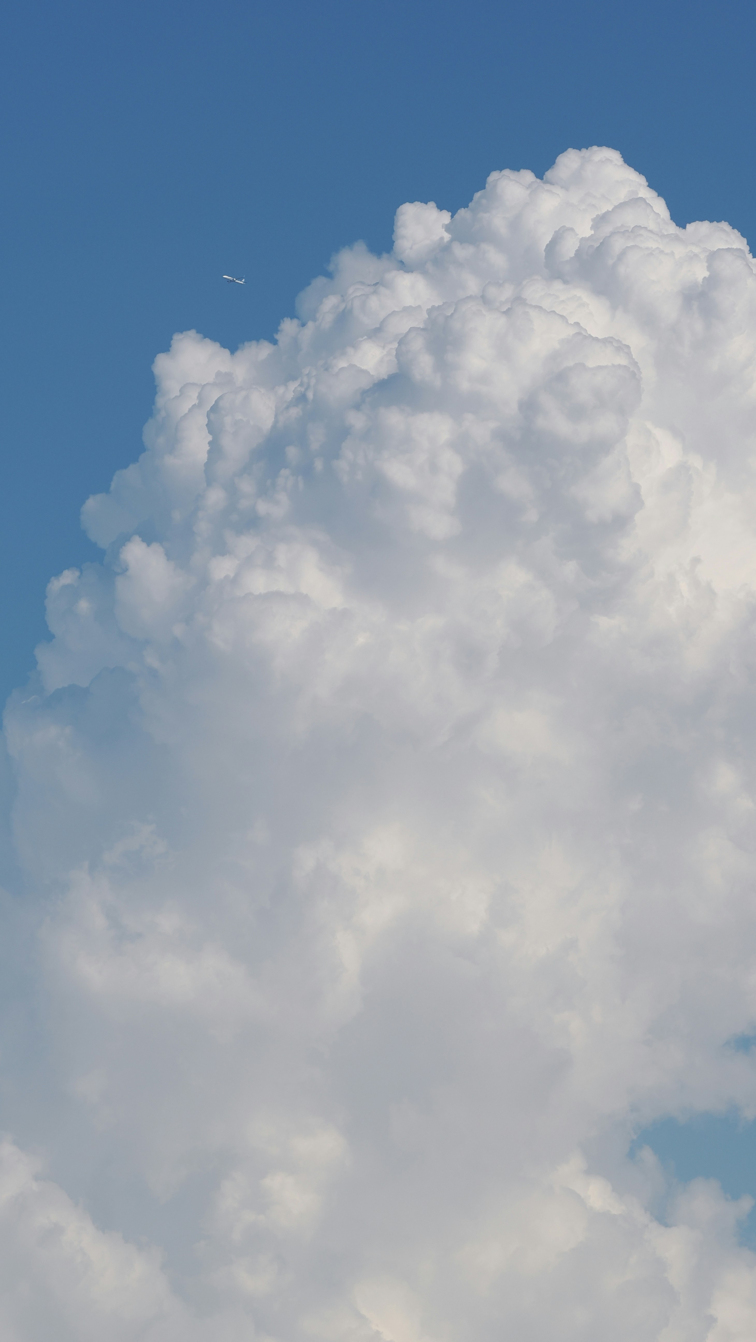 Photo by Kazuyuki AOKI with OM System OM-1 Mark II