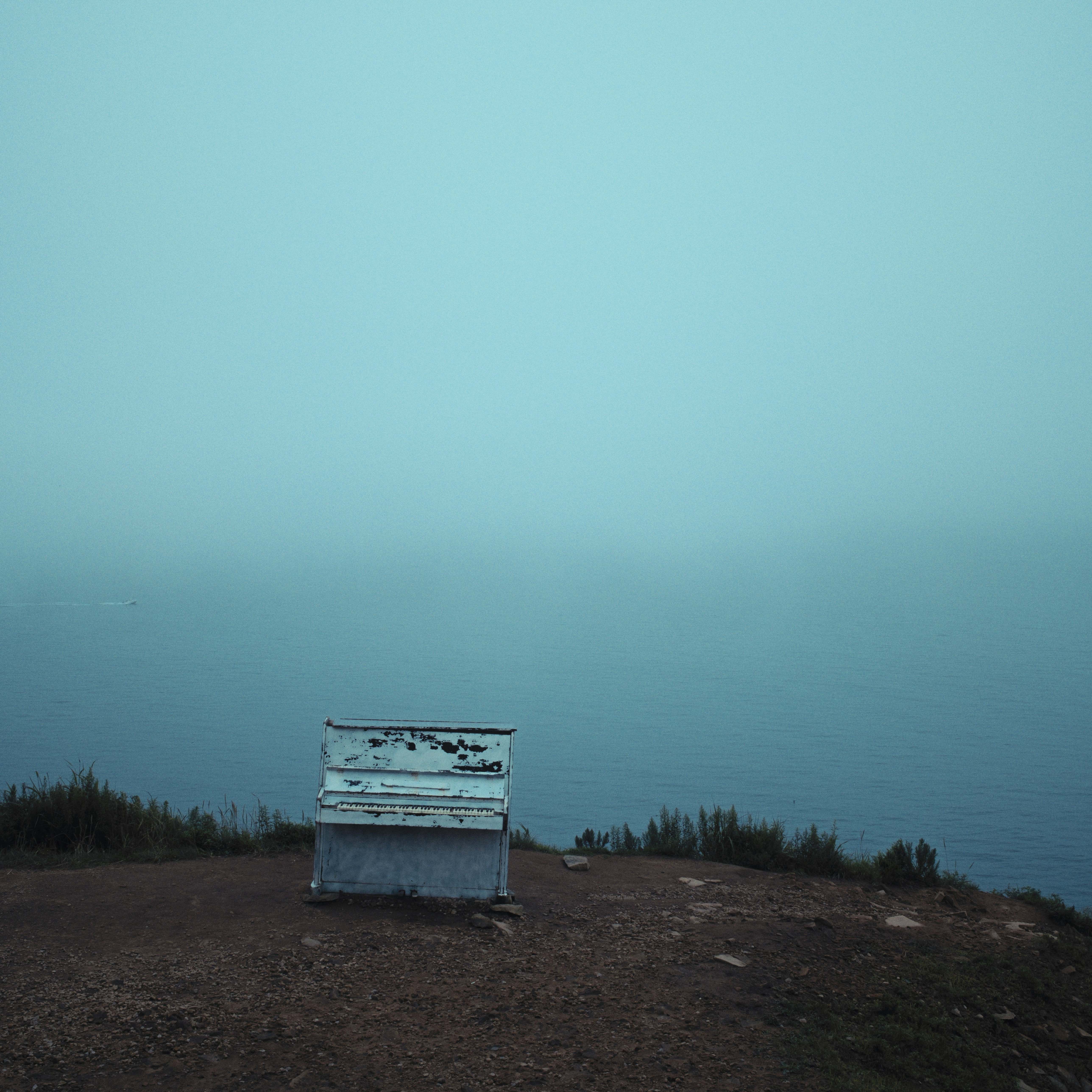 Coastal Verge and Weathered Box Under Quiet Horizon
