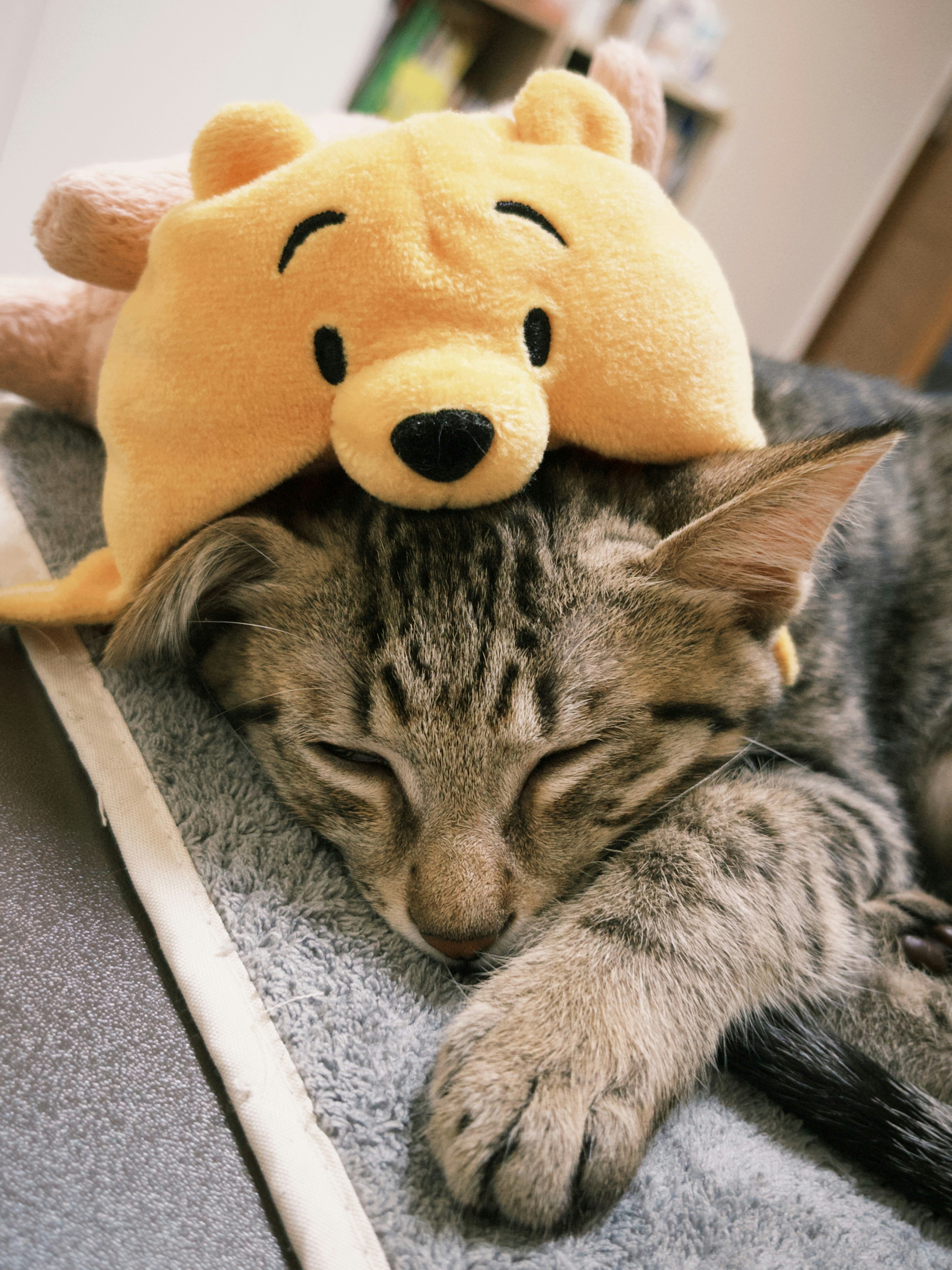 Winnie the Pooh Dreams: Mumu's Costumed Catnap