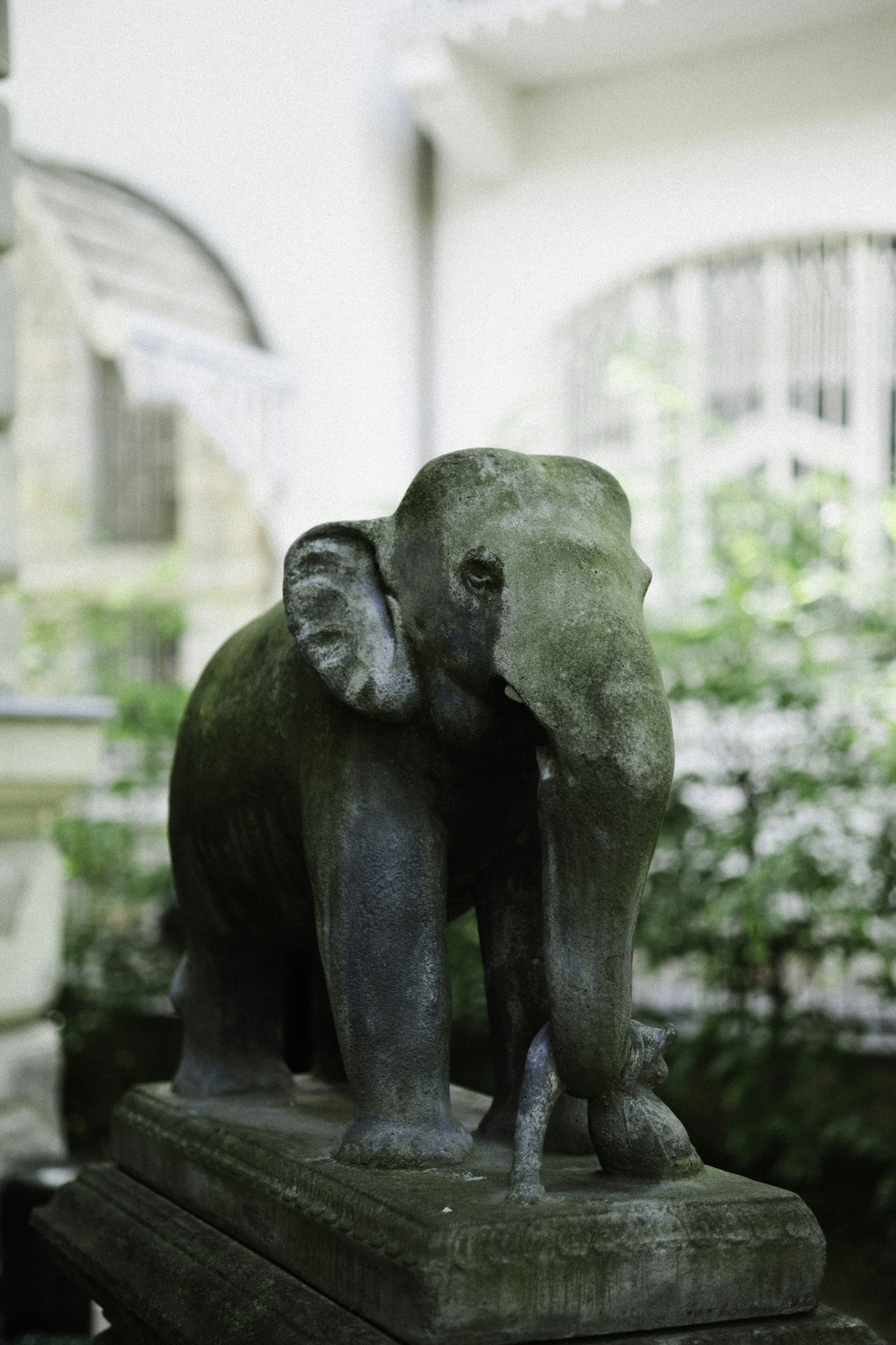 Photo by Martin Siblík with Fujifilm X-S20