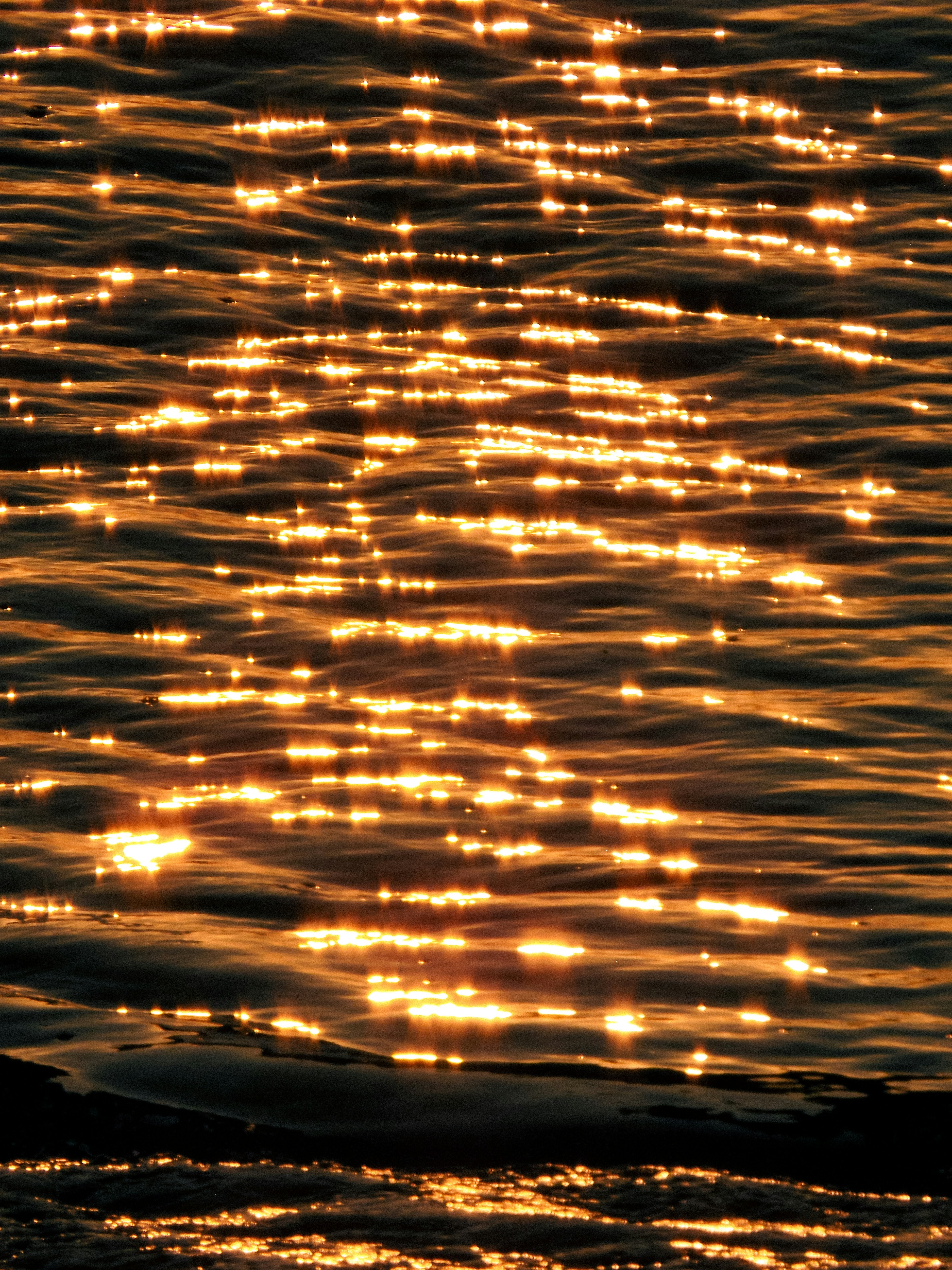 Photo by Mădălina Georgiana Pătru with Nikon COOLPIX L340