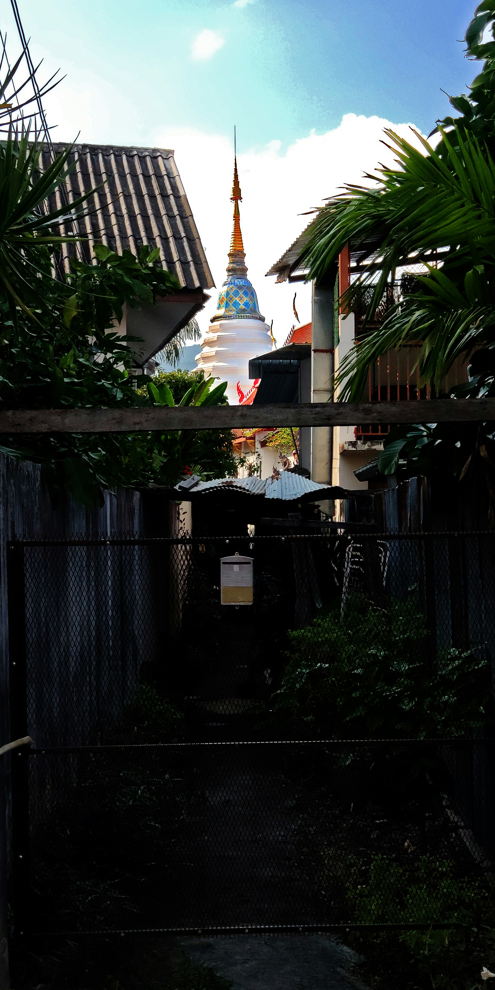 Narrow alley framed by tropical plants reveals a white temple spire with blue and gold accents peeking above rooftops.
