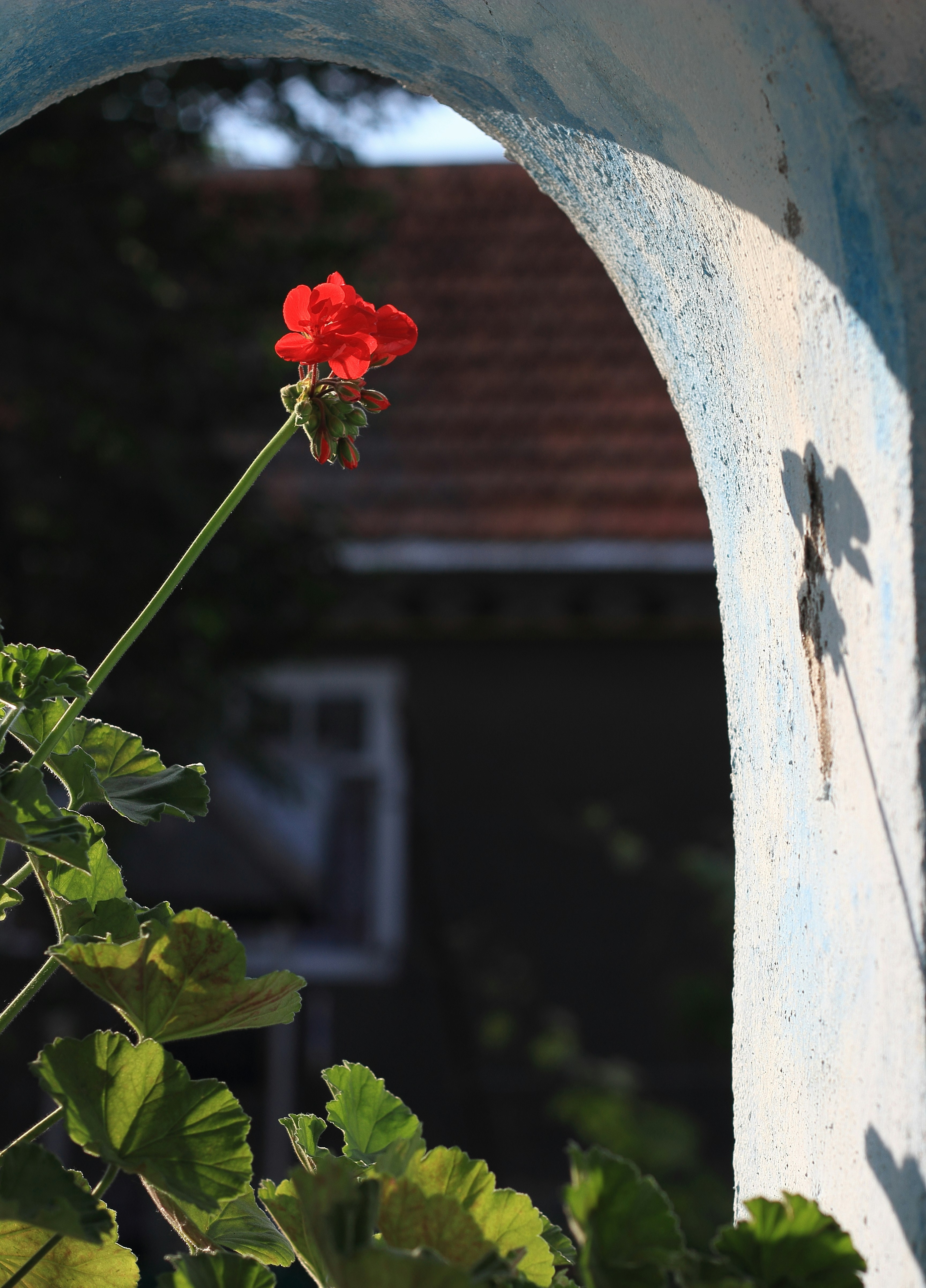 Photo by Andriy Babchiy with Canon EOS 600D