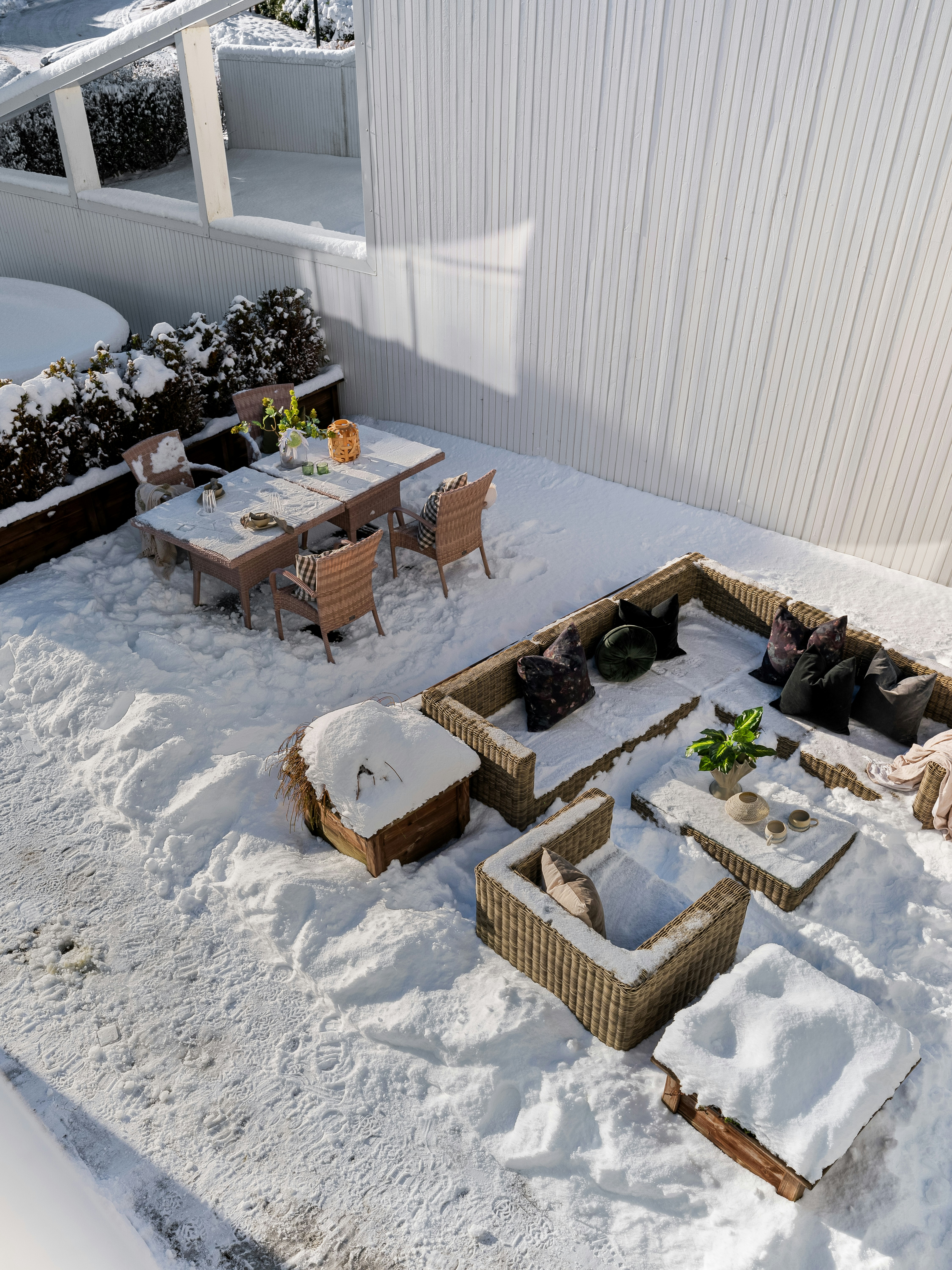 Photo by Lisa Anna with Fujifilm GFX100 II