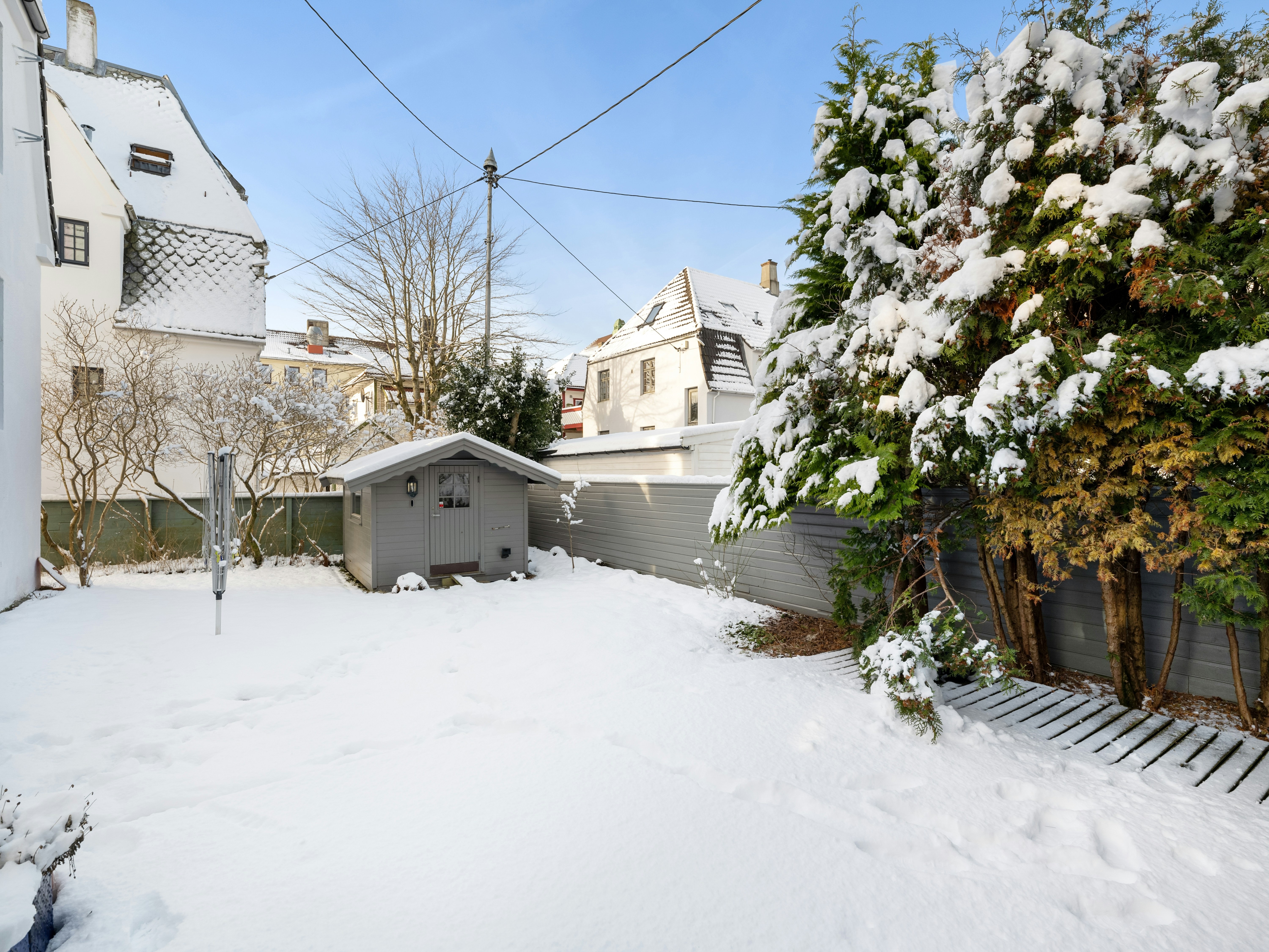 A snow covered yard with a fence and trees photo – Free Neighborhood ...