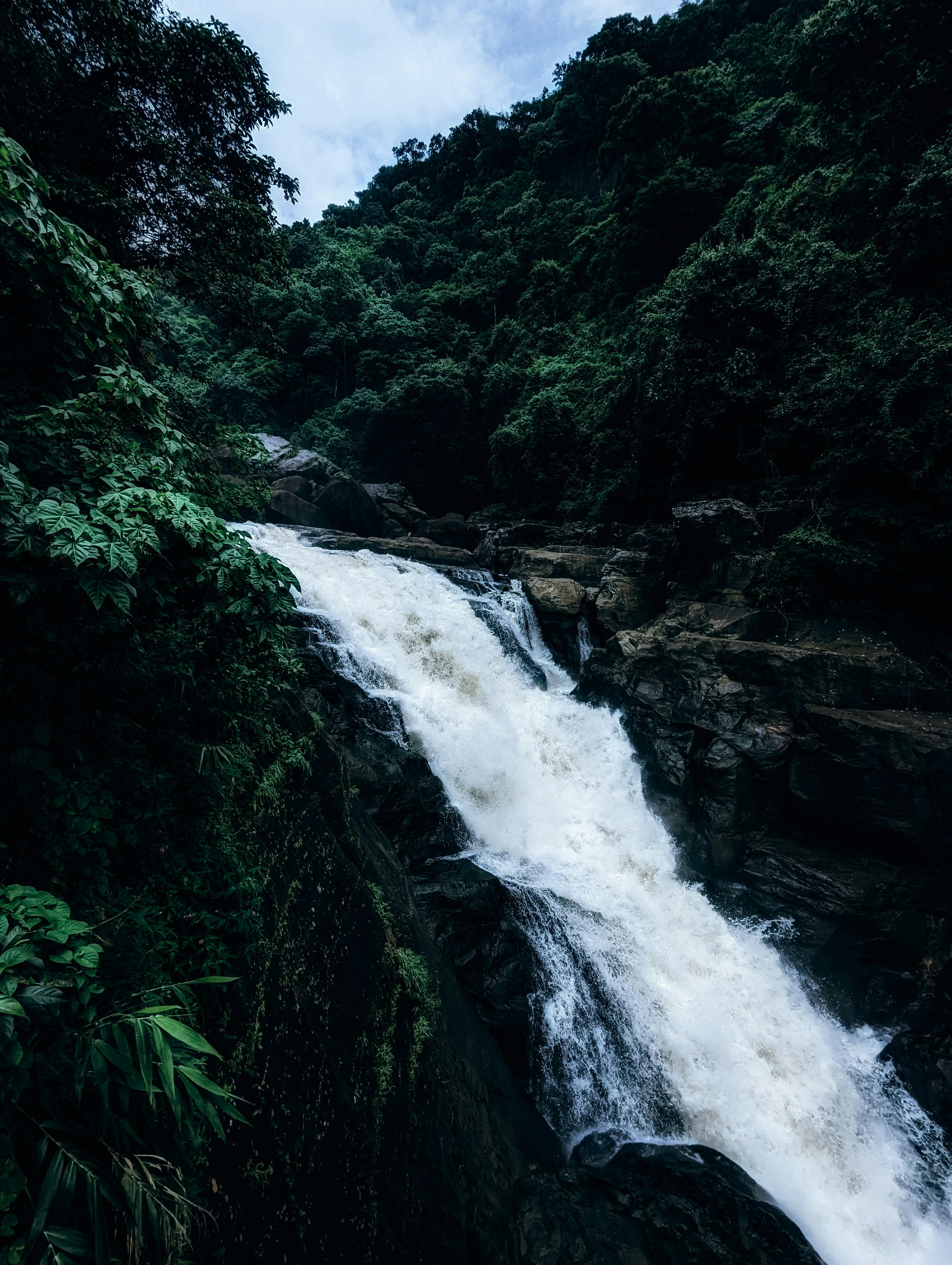 A large waterfall in the middle of a forest photo – Free Riwai-dawki ...