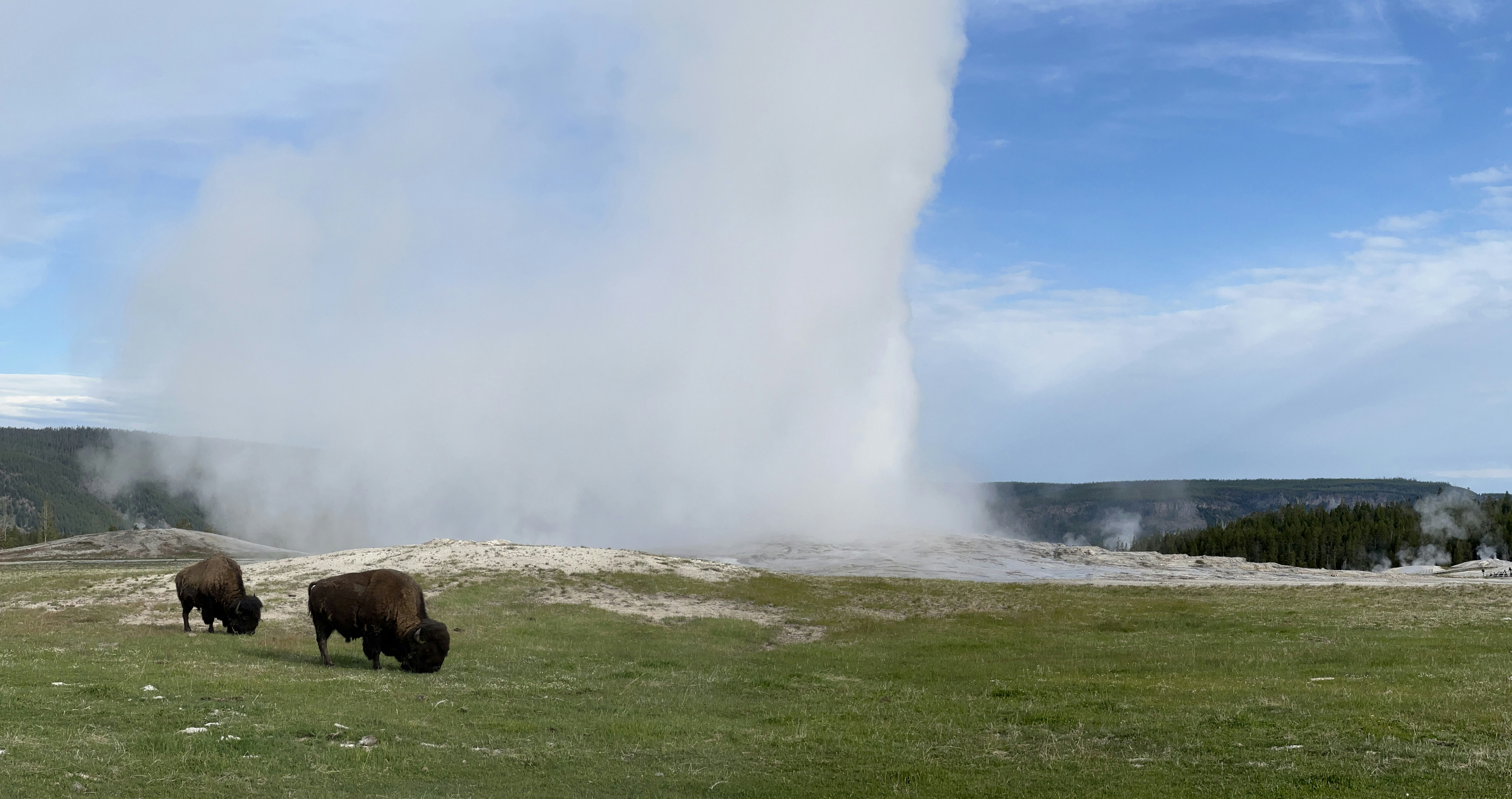Brad Olsen (@braca84321) | Unsplash Photo Community
