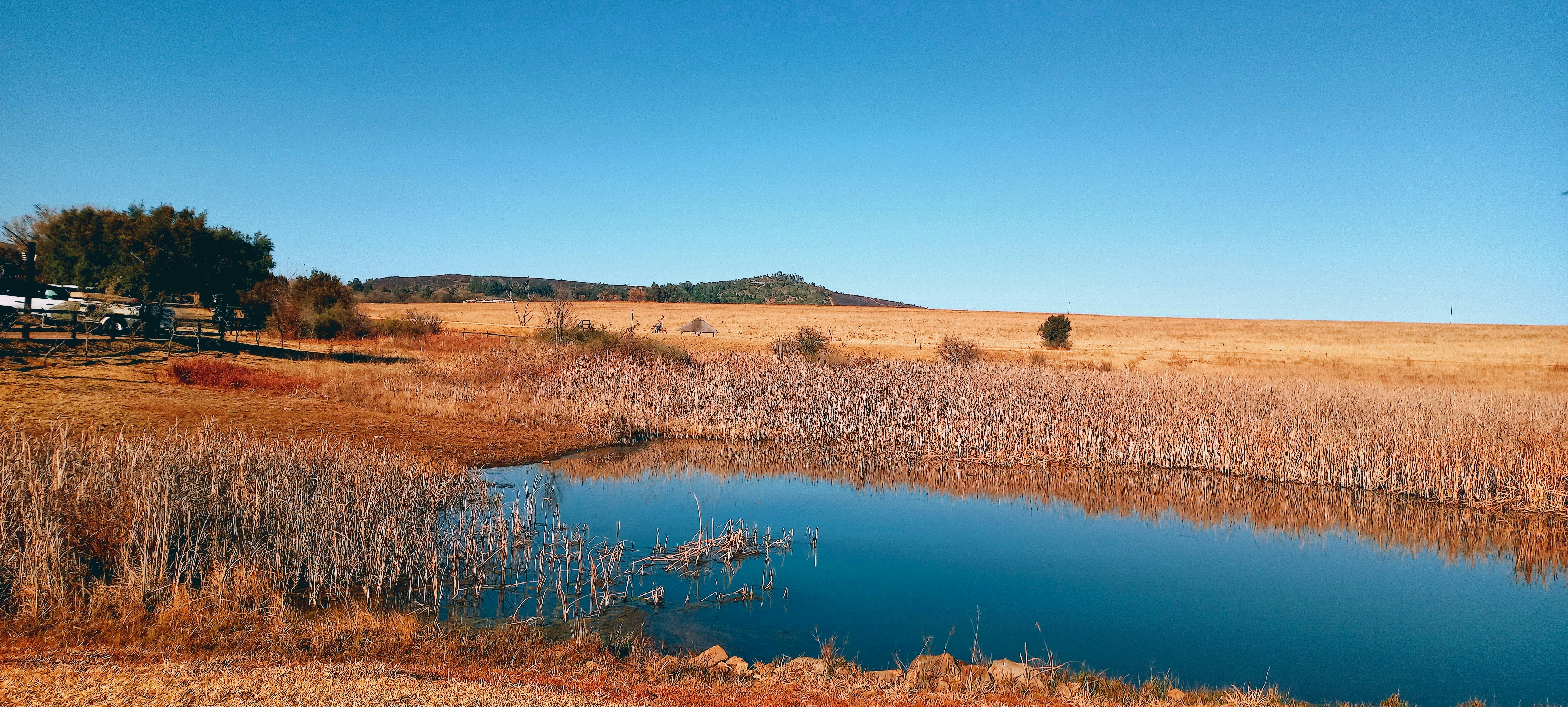 Photo by Andile Mnothoza with Samsung Galaxy A32