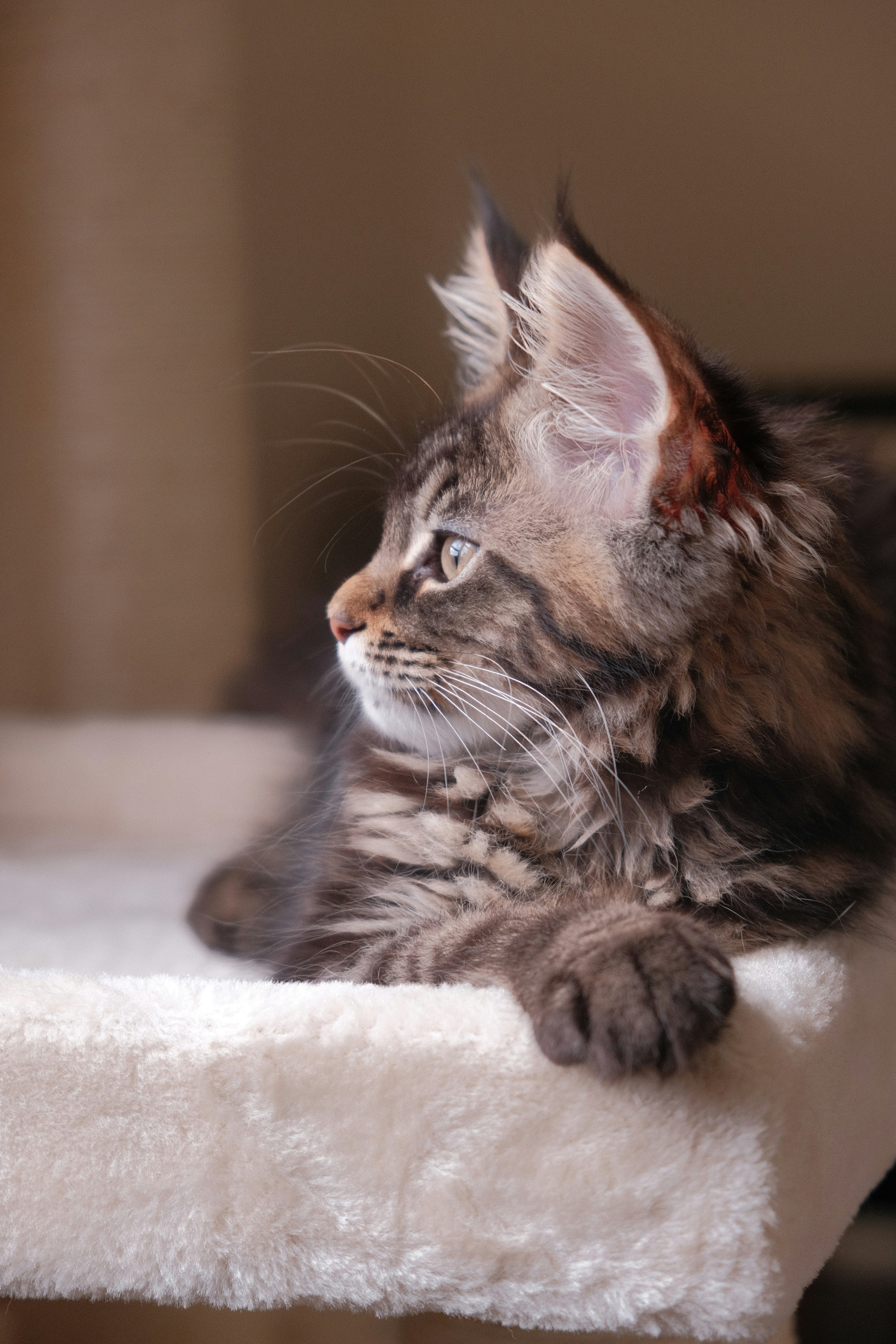 Photo by Lea Ren with Fujifilm X-T4