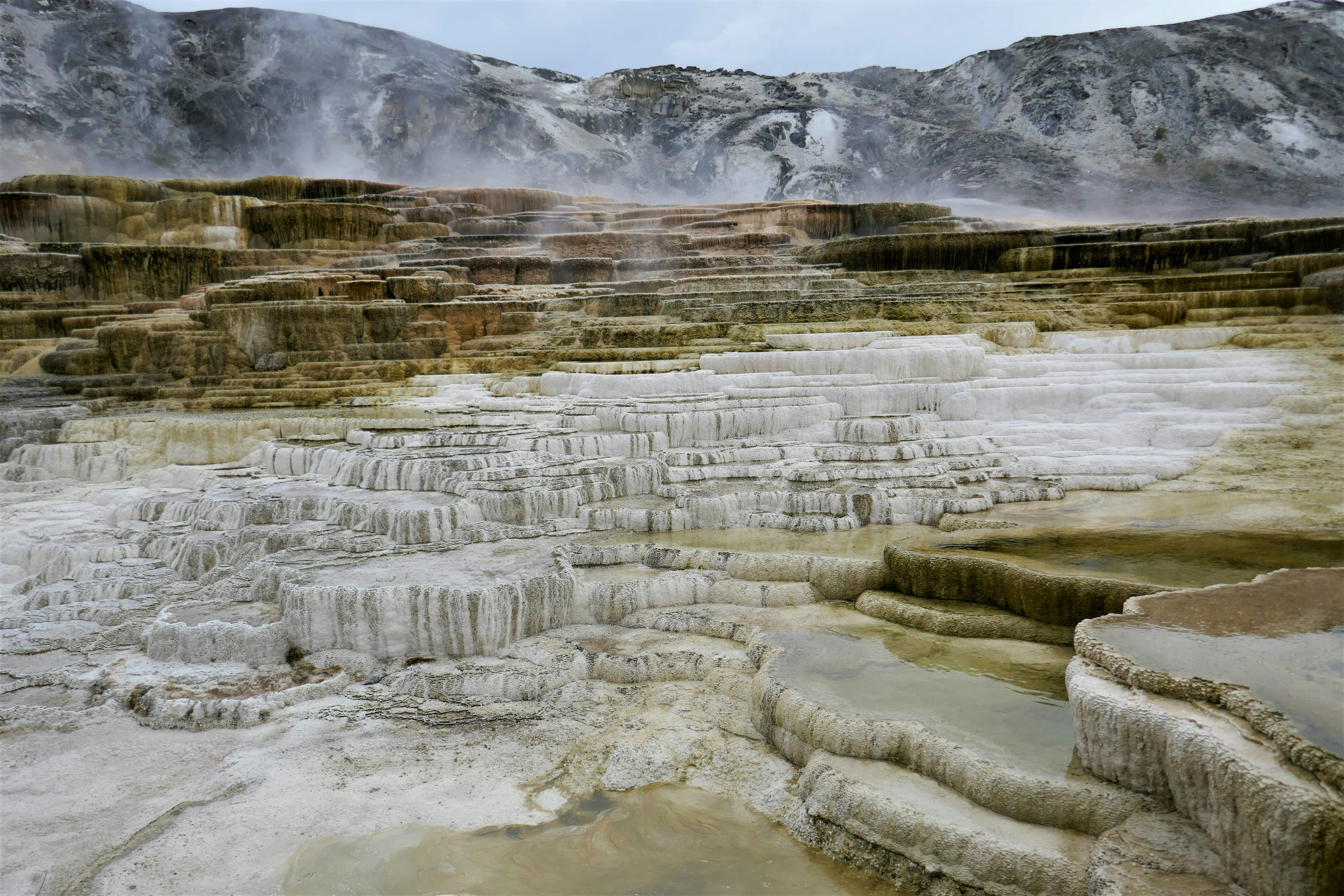 Photo by Kayleigh Cornell with Panasonic Lumix ZS100