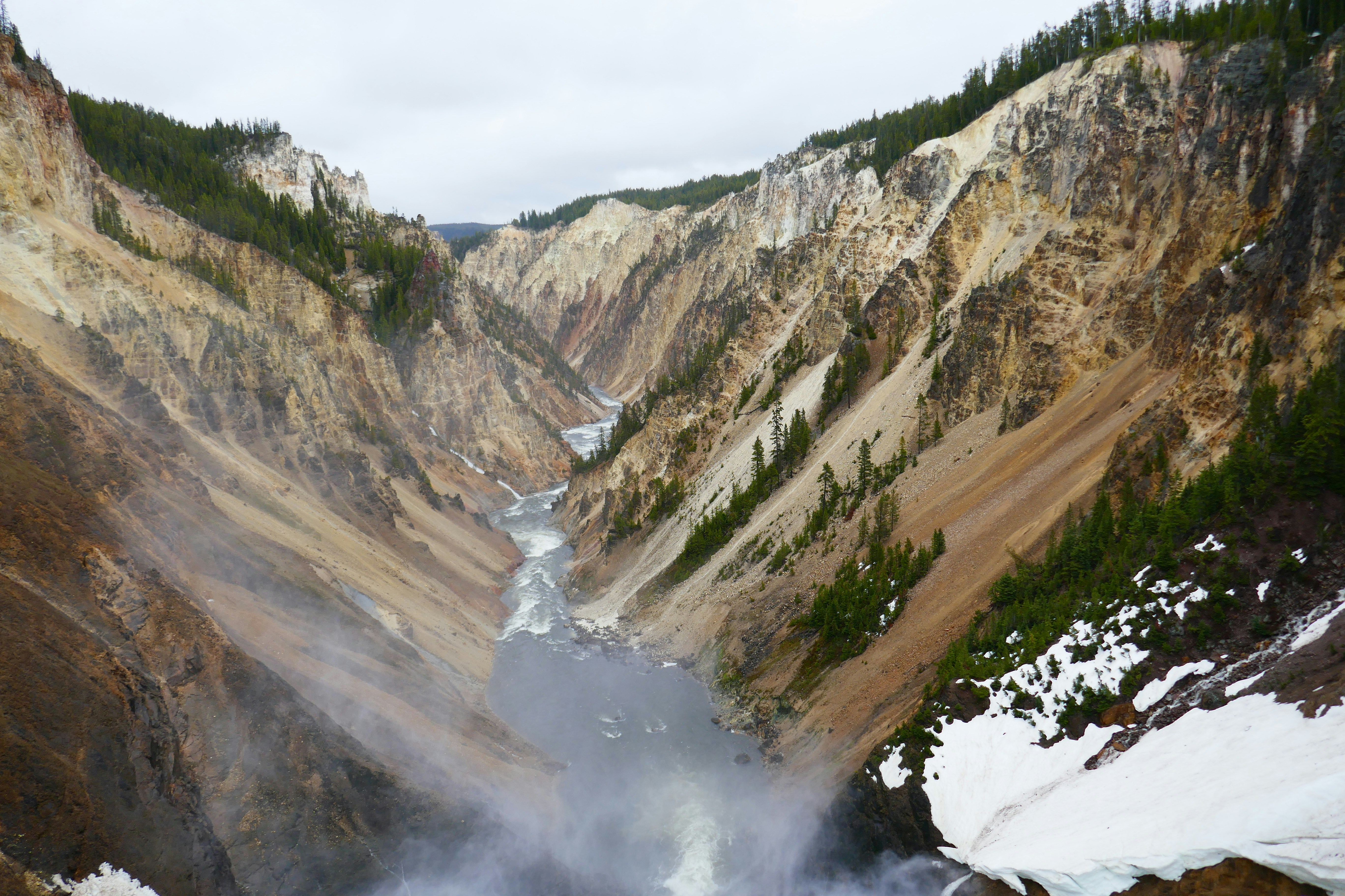 Mist-Forged Canyon: A River Wends Between Golden Cliffs