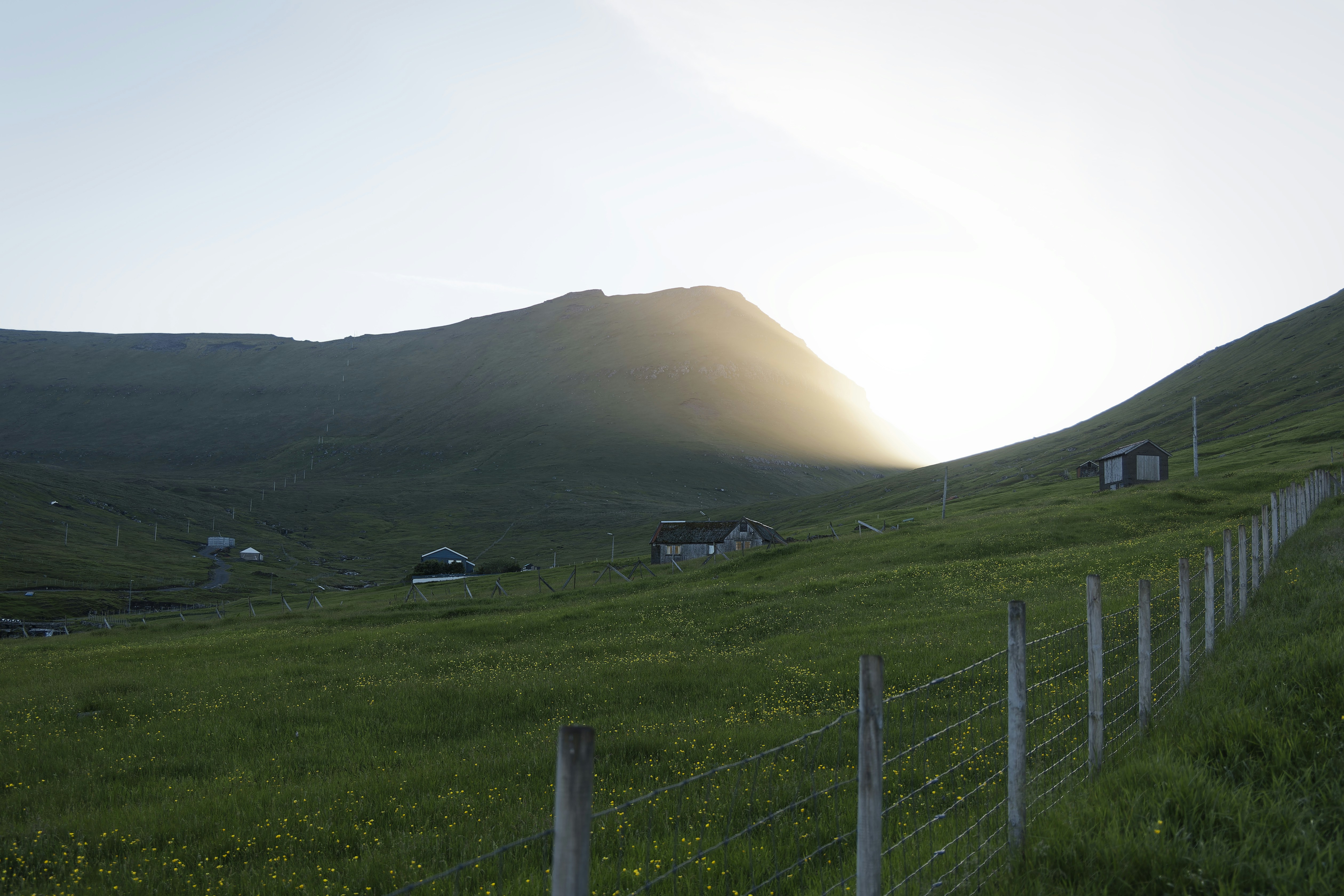 Dawn Crest over a Meadowed Hillside: Sunlight, Fence, and Yellow Blooms