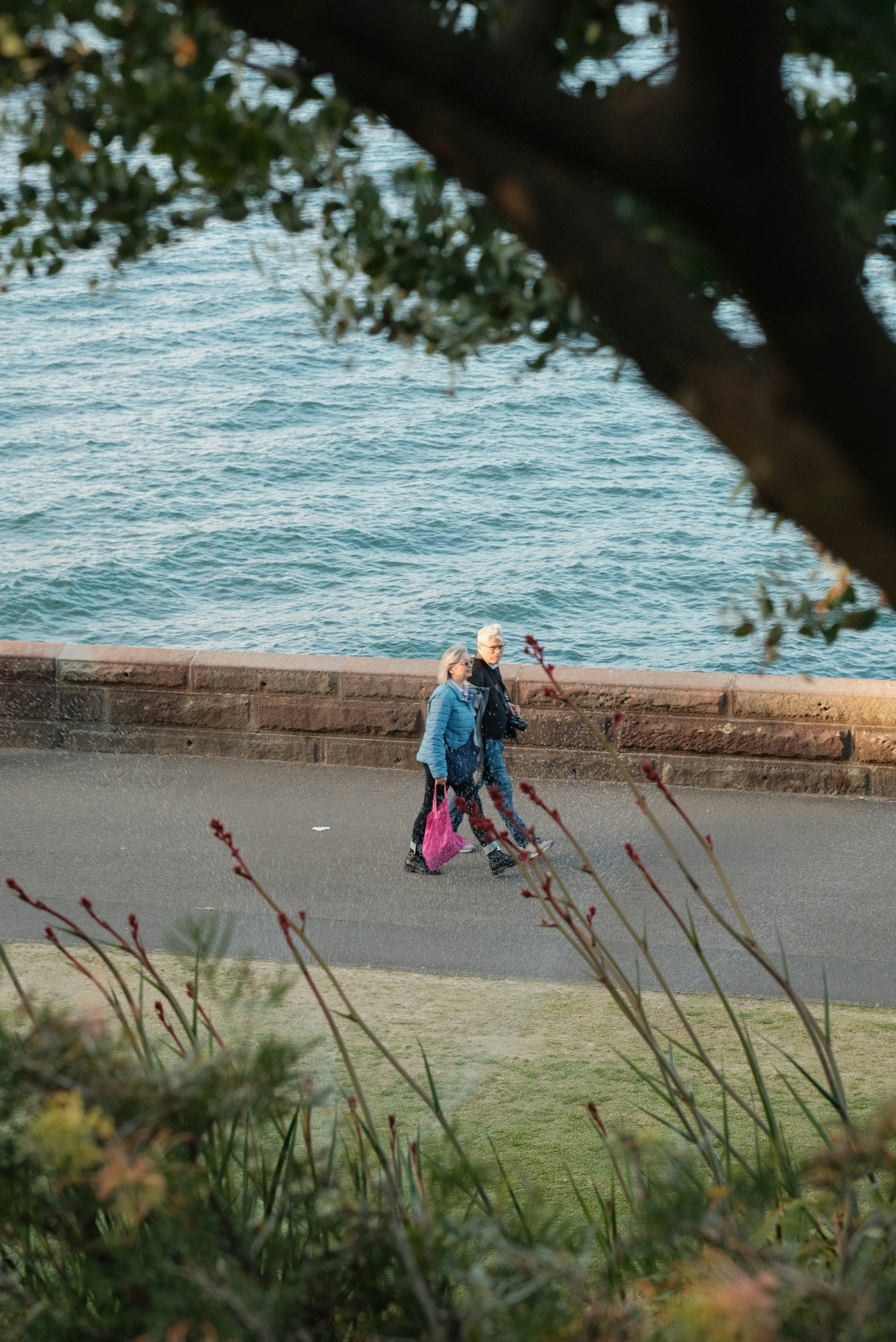 Seaside Stroll: Pedestrians on a Waterfront Promenade Framed by Overhanging Branches