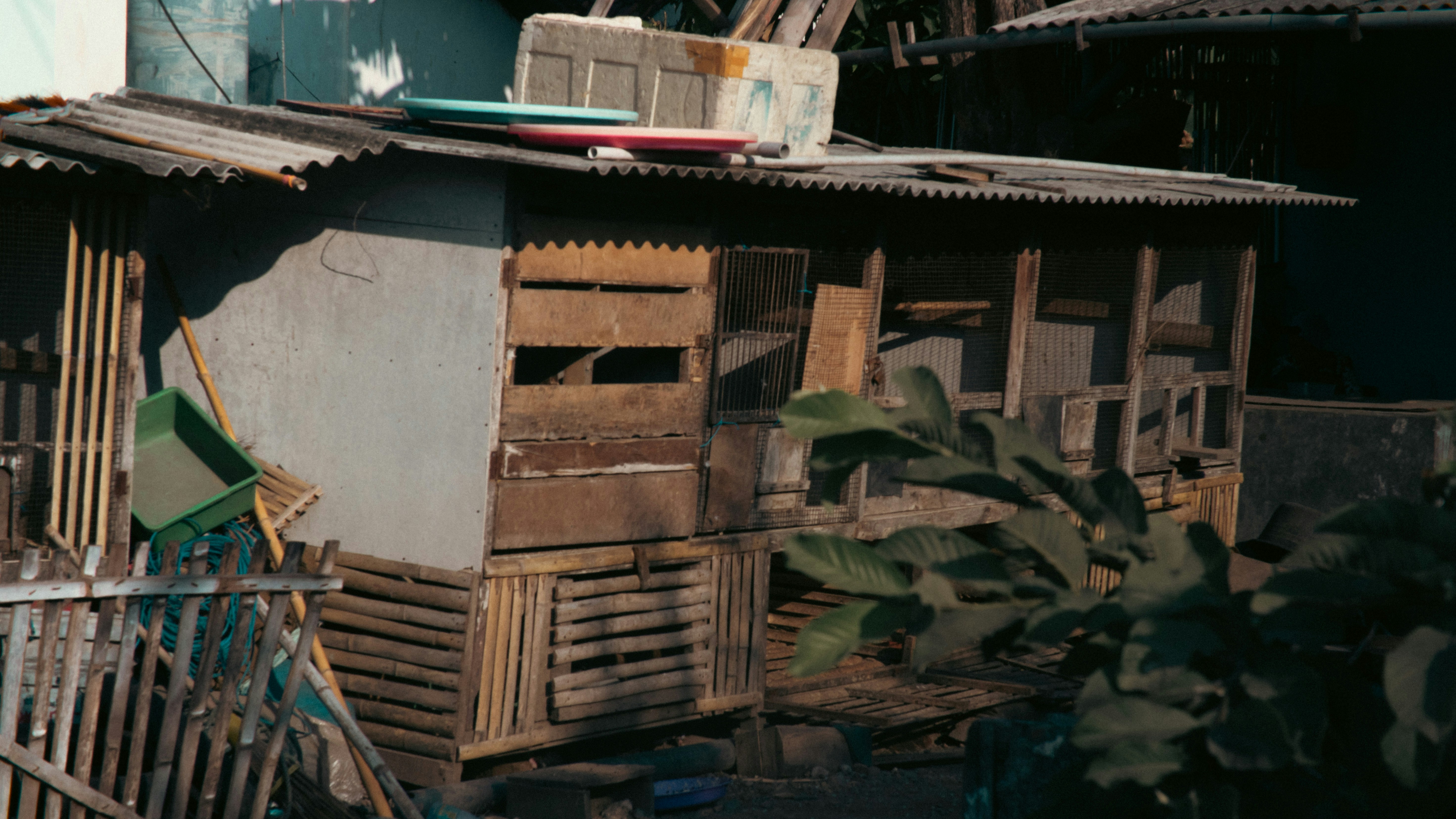 A shack with a surfboard on top of it photo – Free Nature Image on Unsplash