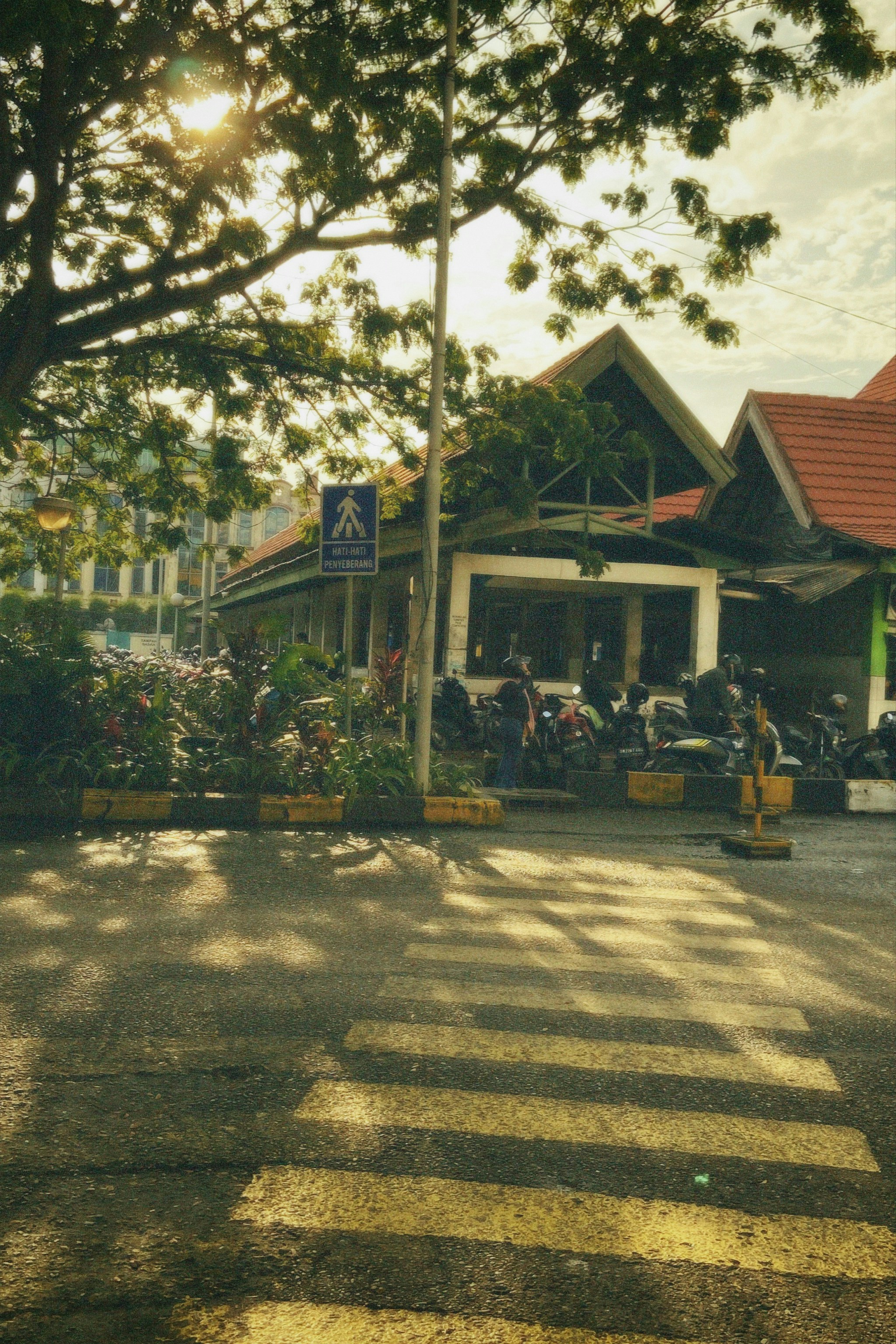 Photo by dzguevara with Apple iPhone 11